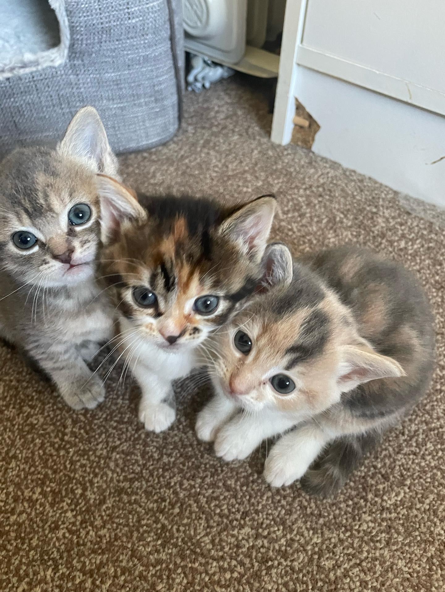 They posed for a pic 🥹 | Scrolller