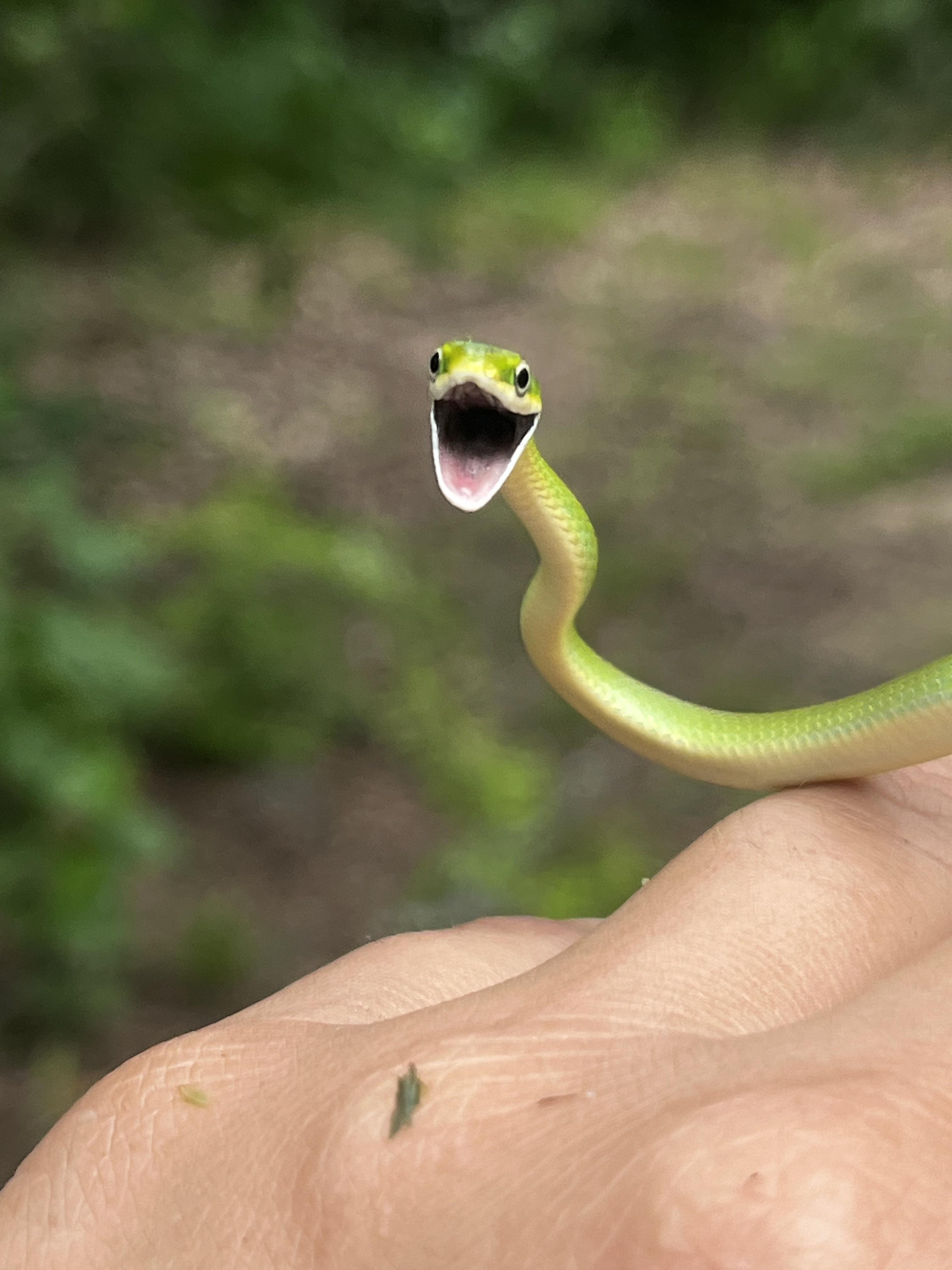 Discover more like Aww: Caution: lethal cutie and Related Content | Scrolller