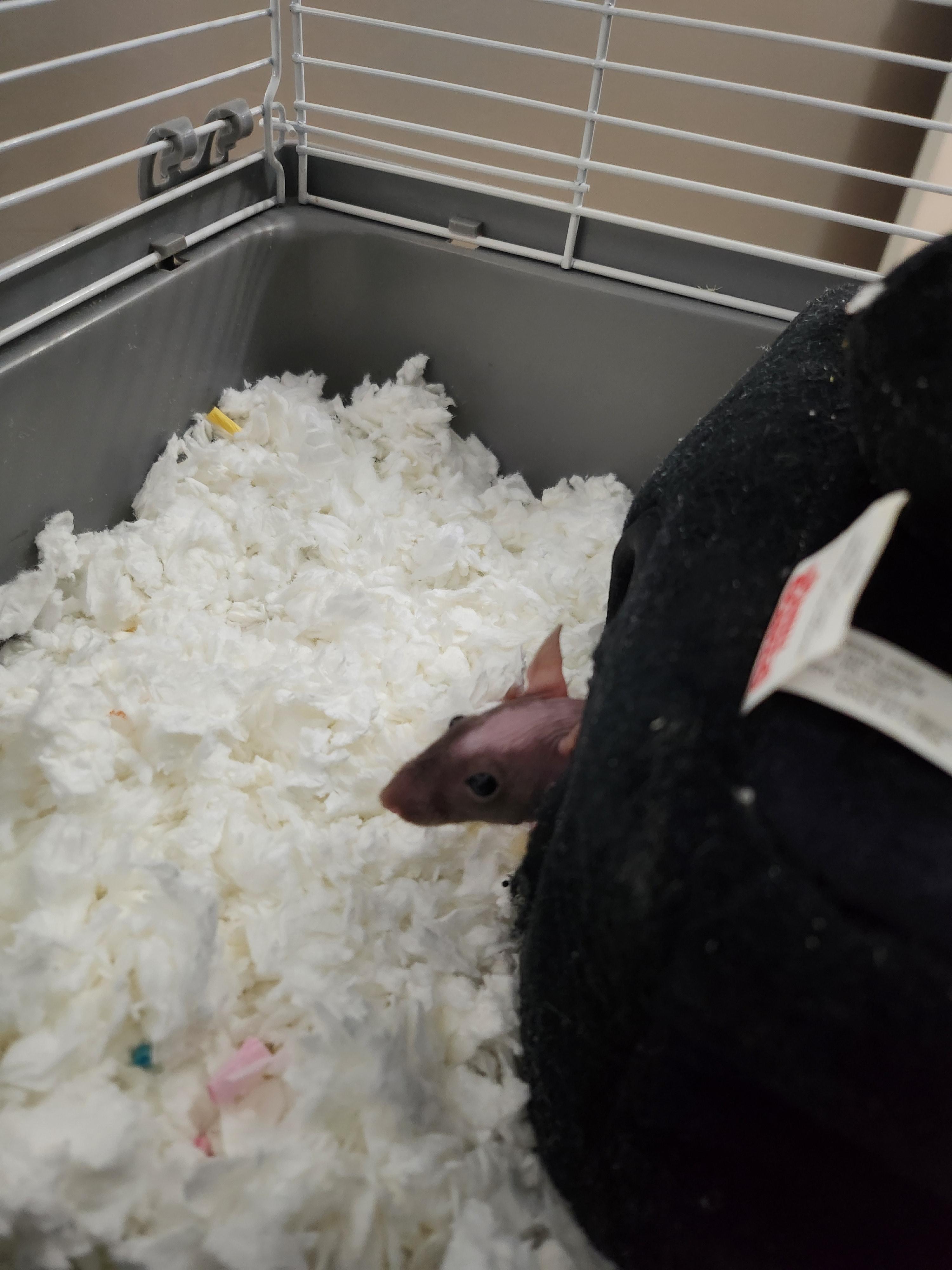 New Gals | Scrolller