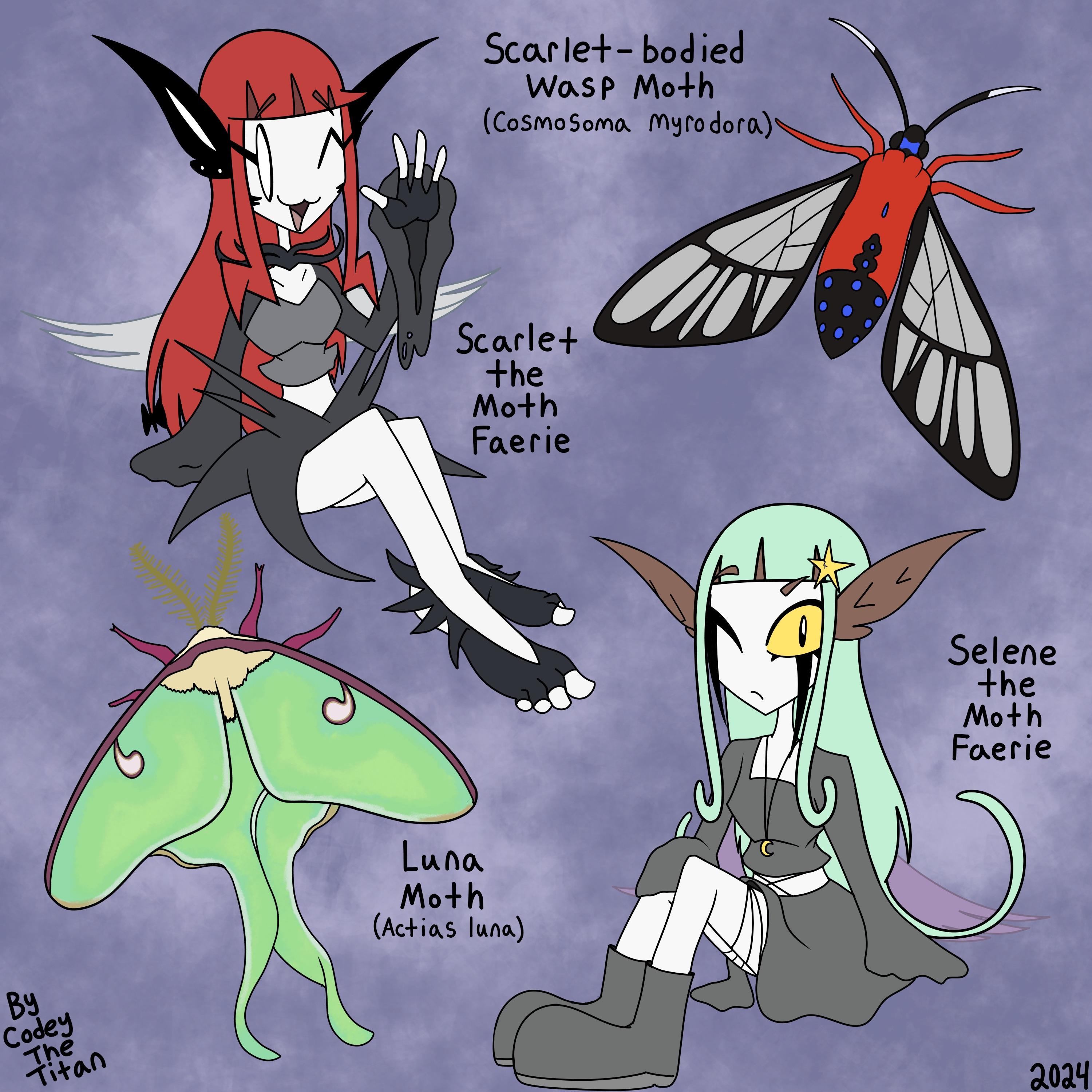 Here’s My Moth Faerie Characters compared to the Moths they’re inspired by or look like. | Scrolller