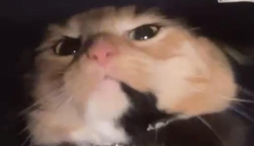 Discover more like Redditgetsdrawnbadly: Draw this Goober, I could use a smile right now. and ...