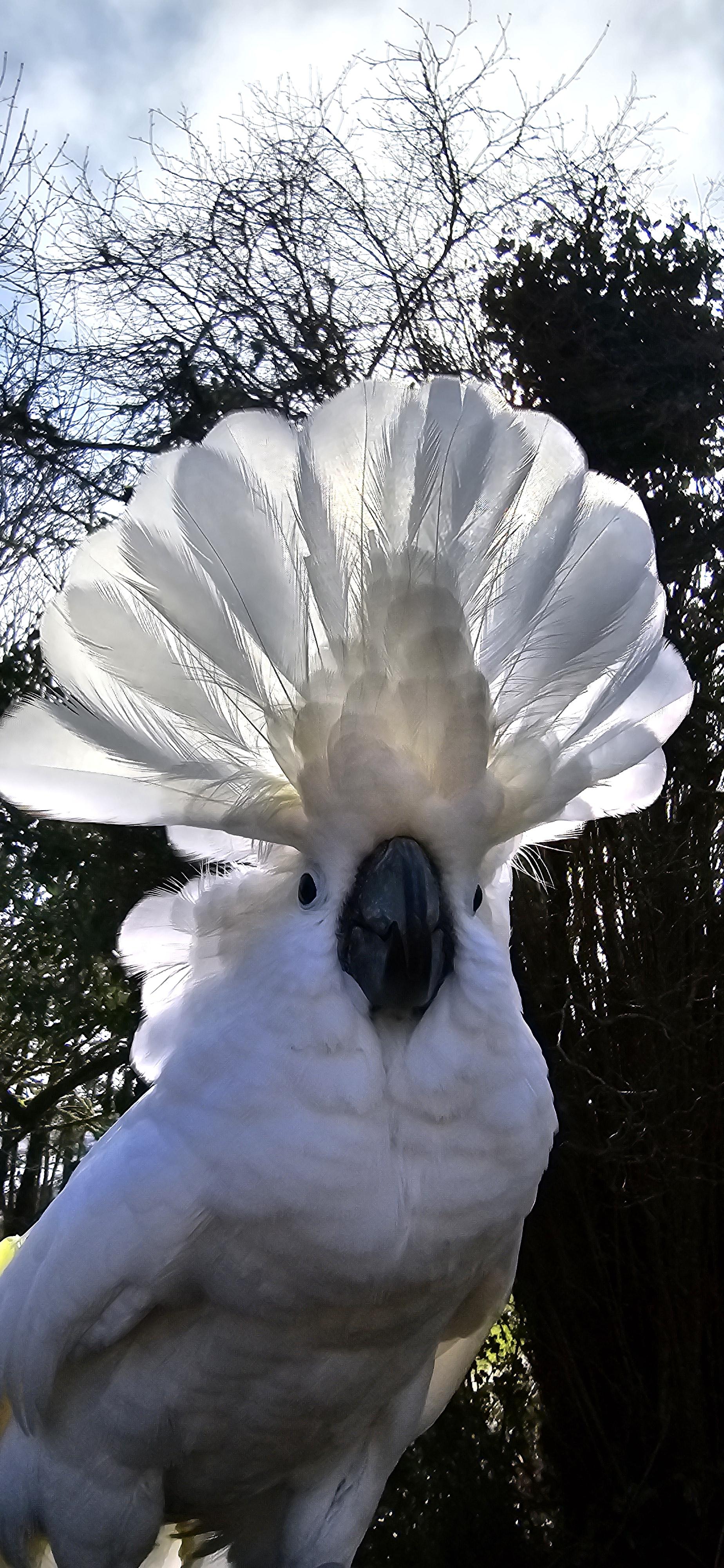 Amazingly Timed Photos | Scrolller