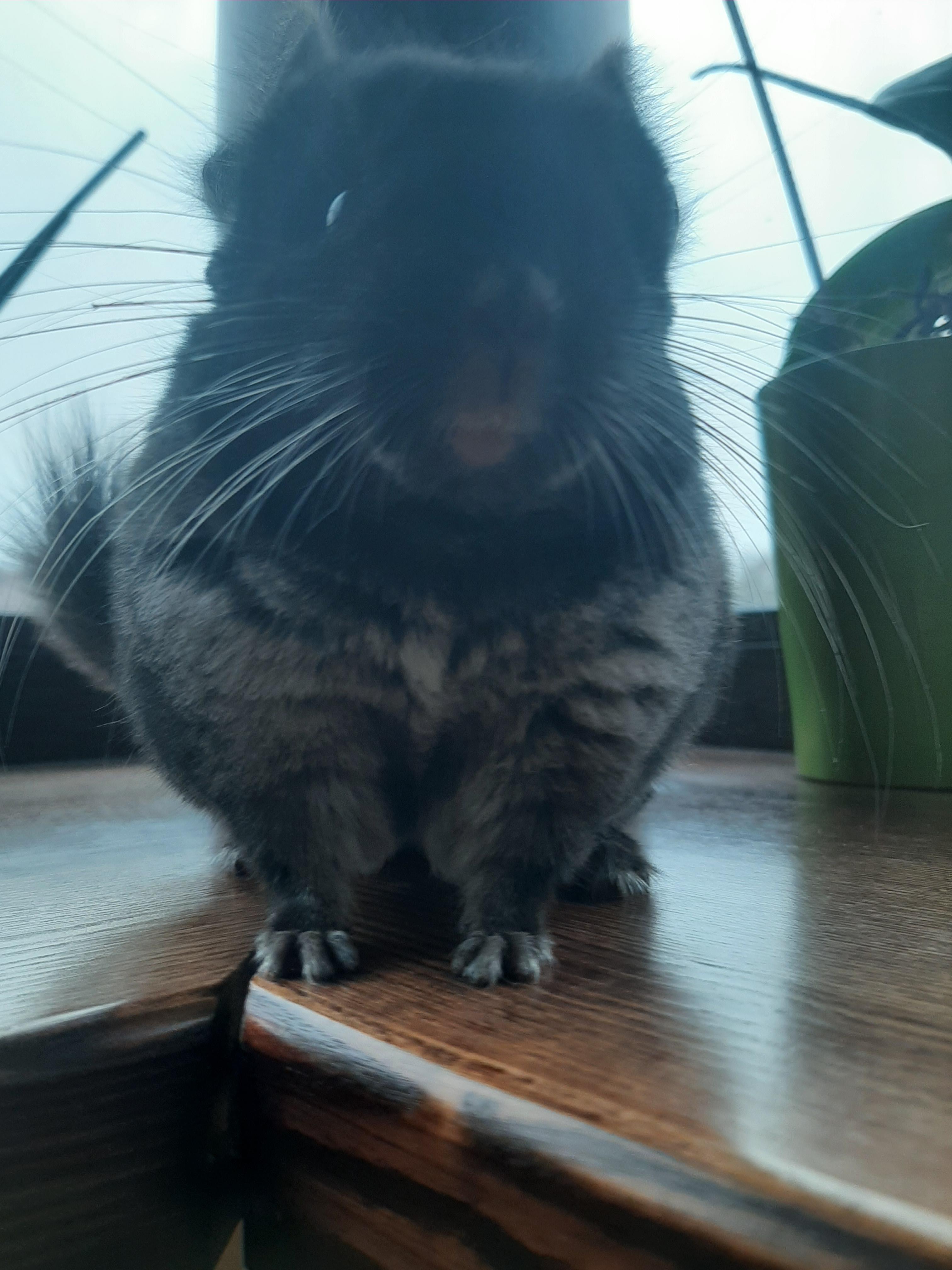 Smile from Ricky😁 | Scrolller