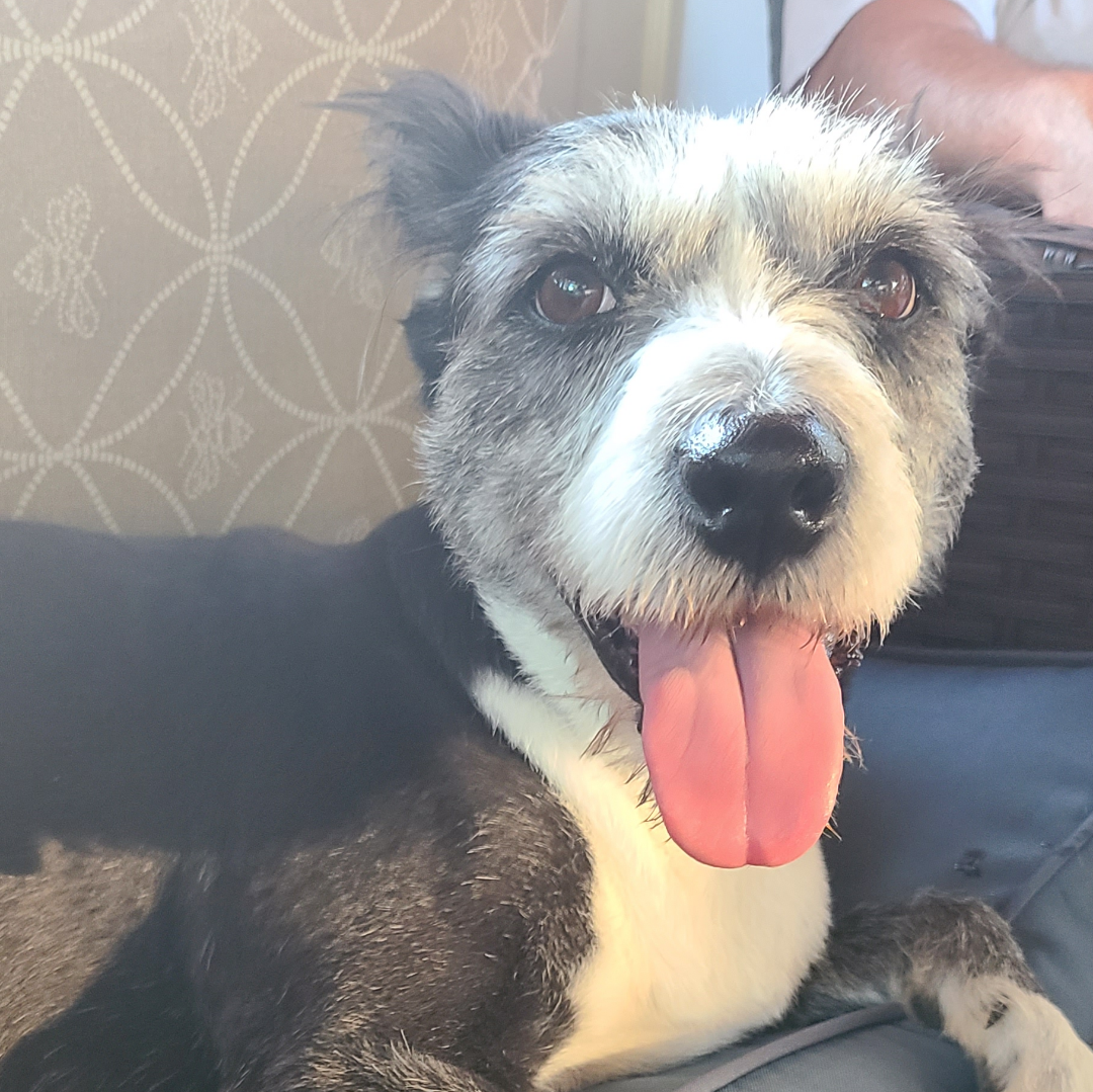 Before and after being told something of critical importance | Scrolller