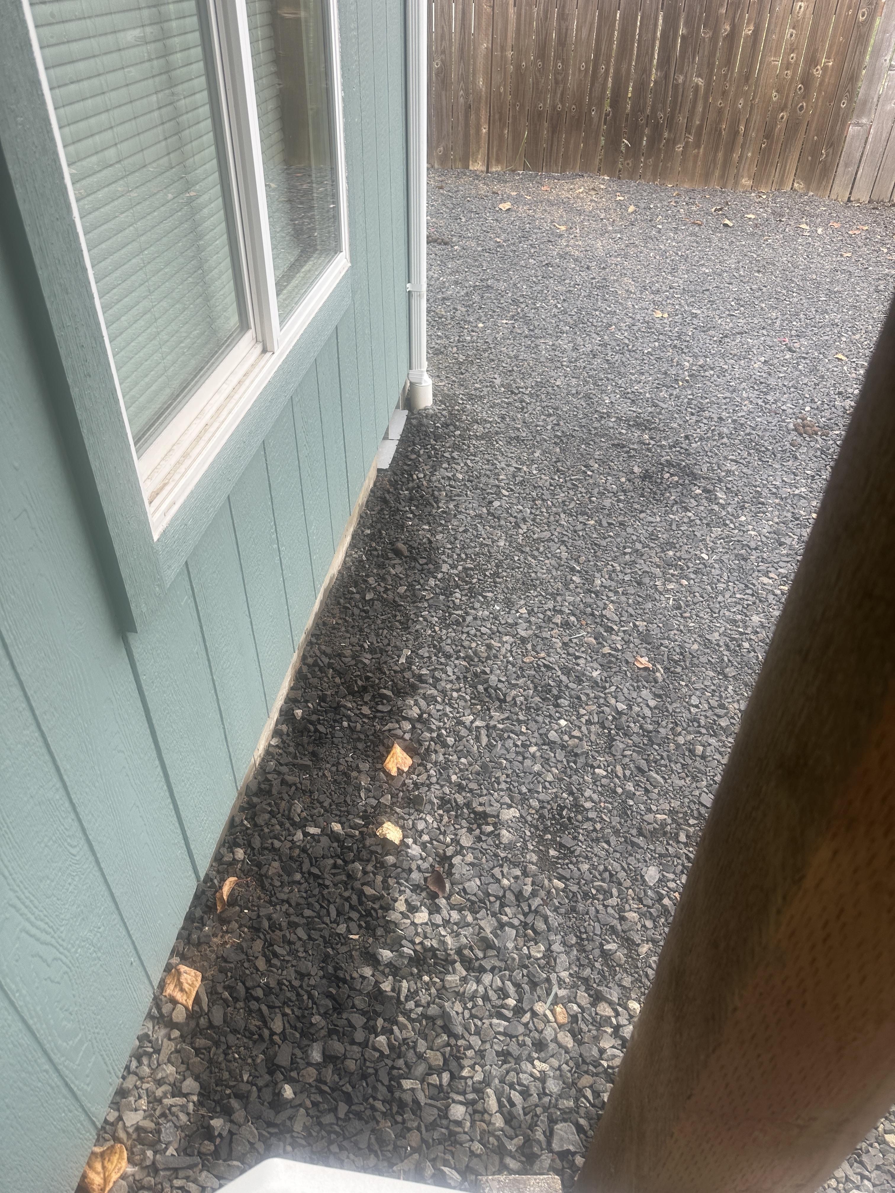 Wet near the foundation | Scrolller