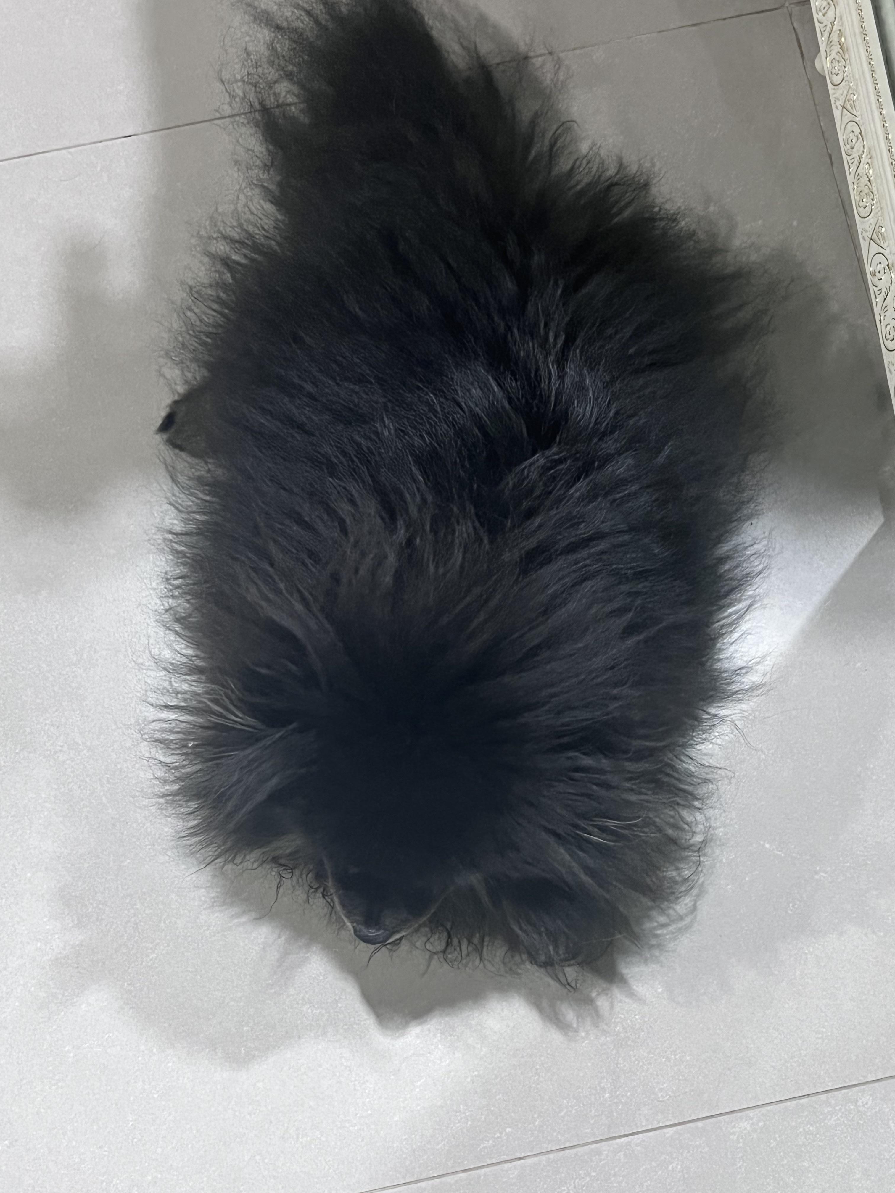 Loaf check | Scrolller