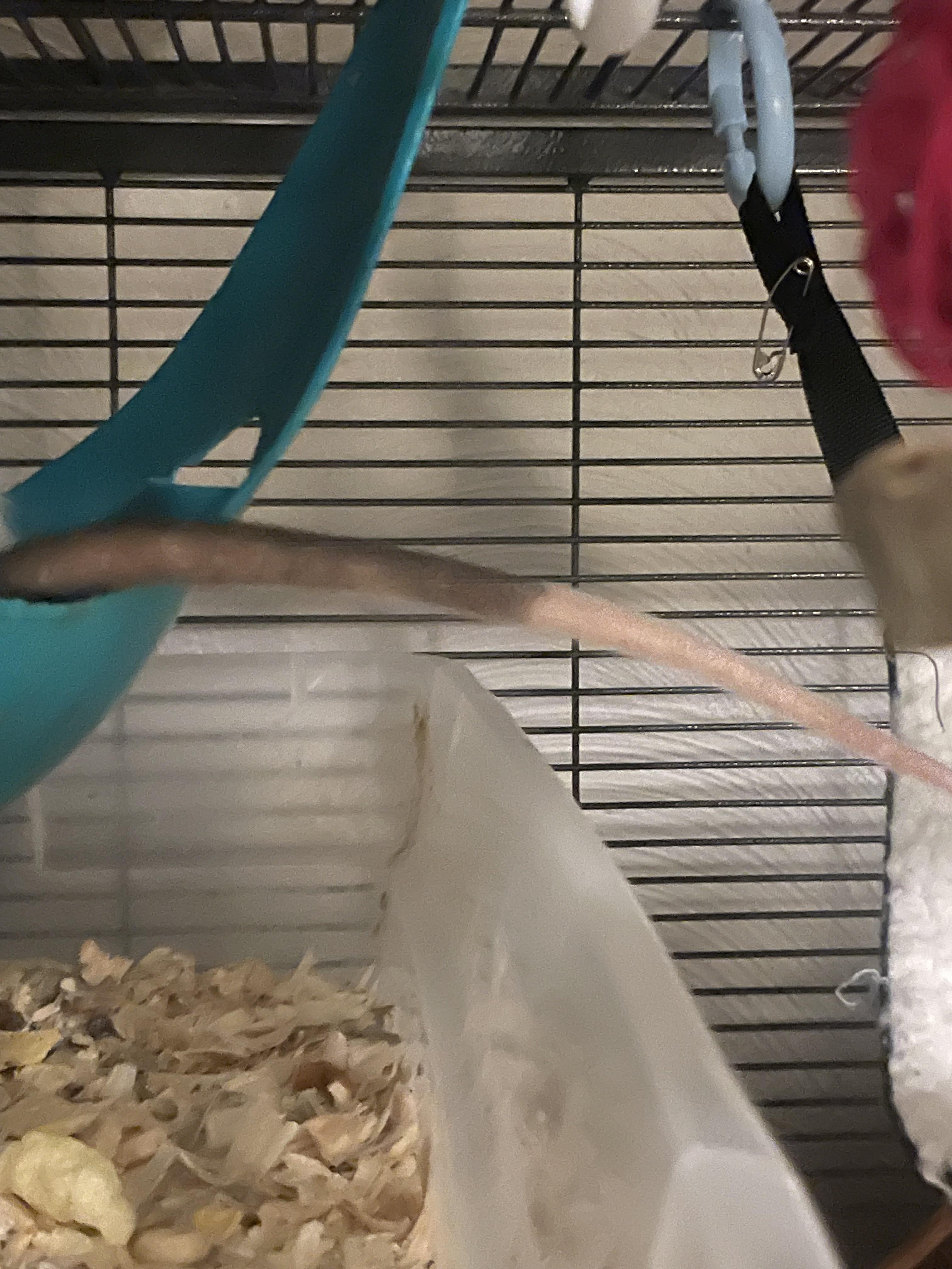 Names that go with Dipper | Scrolller