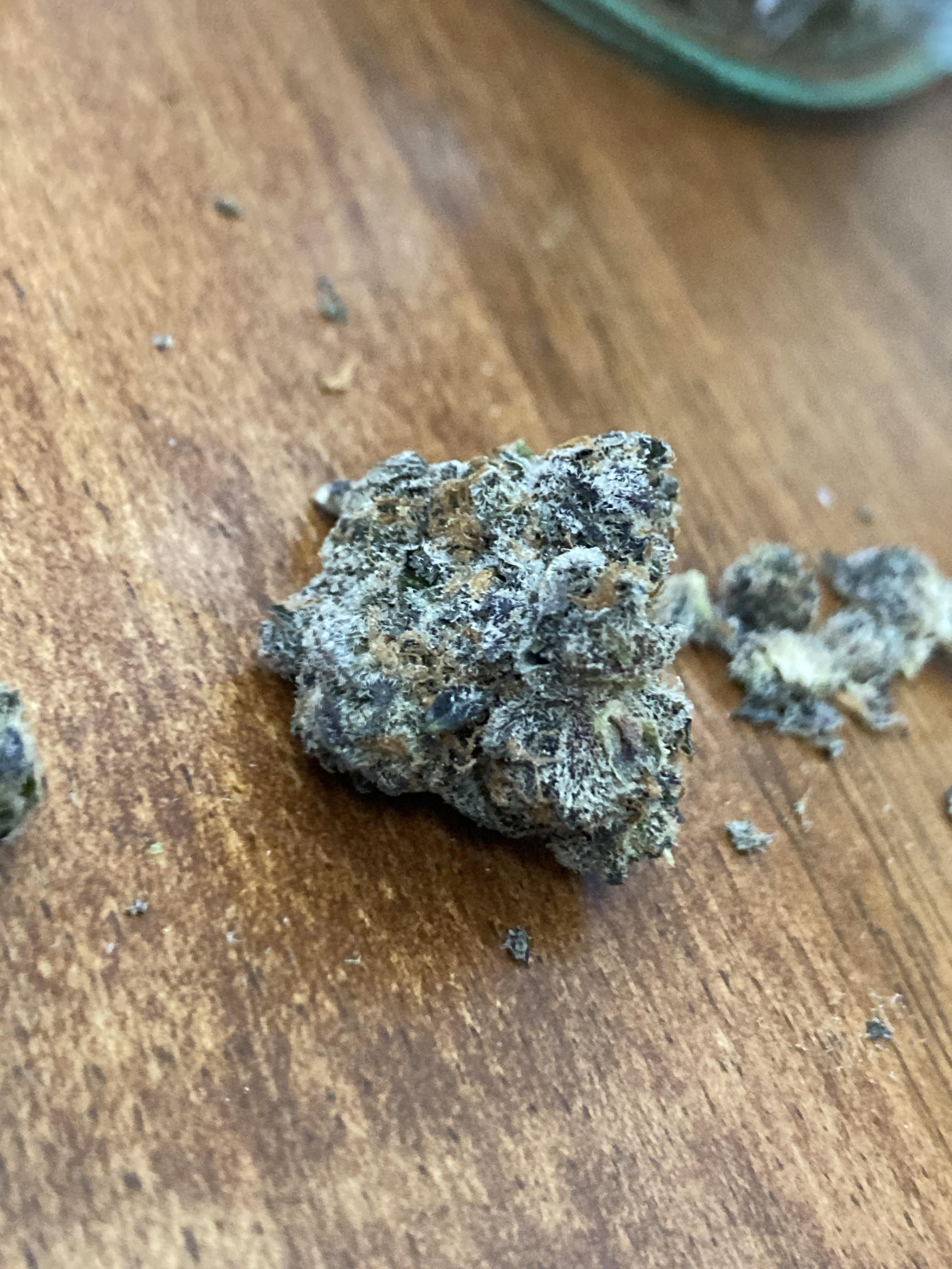 Is this mold? | Scrolller