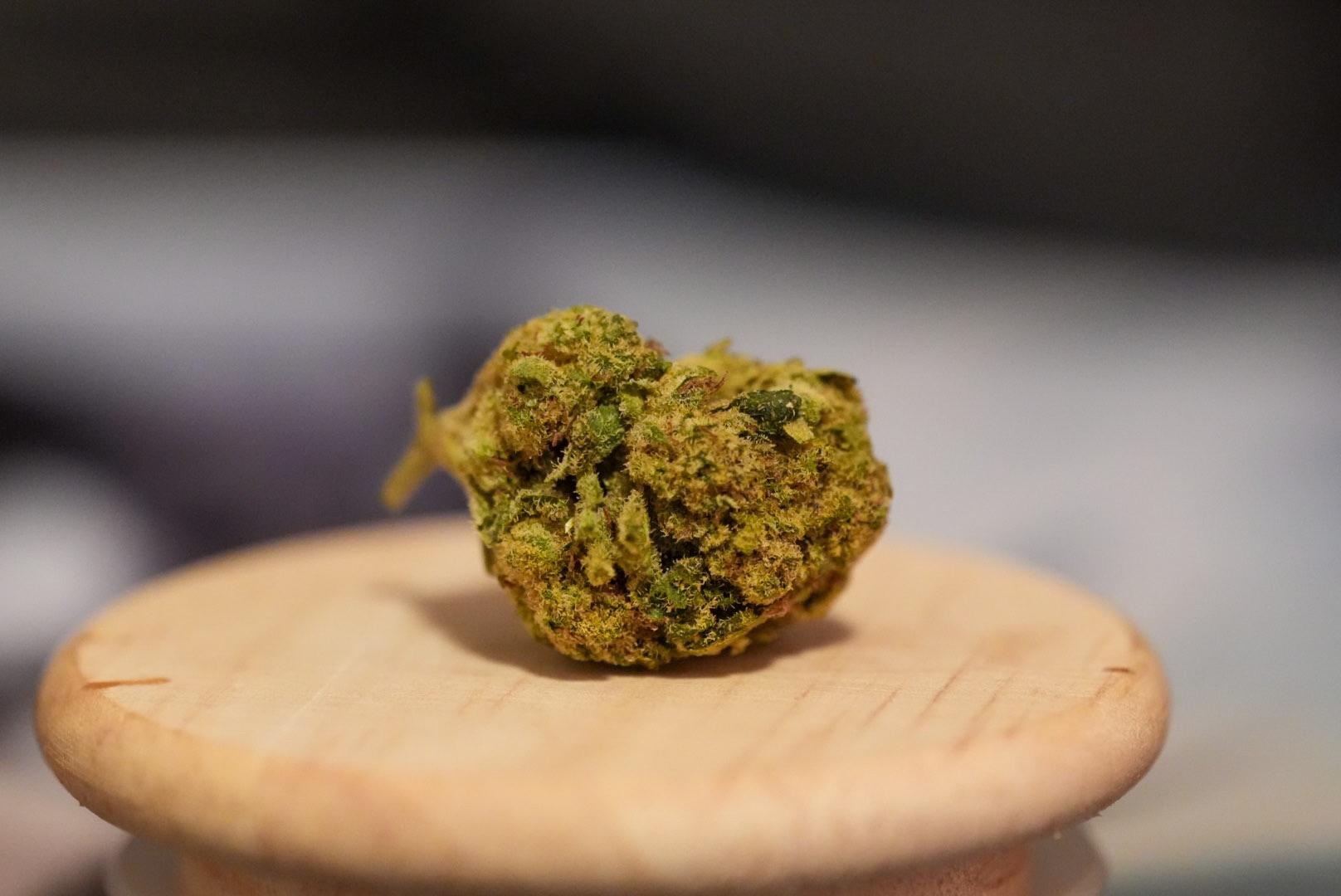 Macro Shots | Scrolller