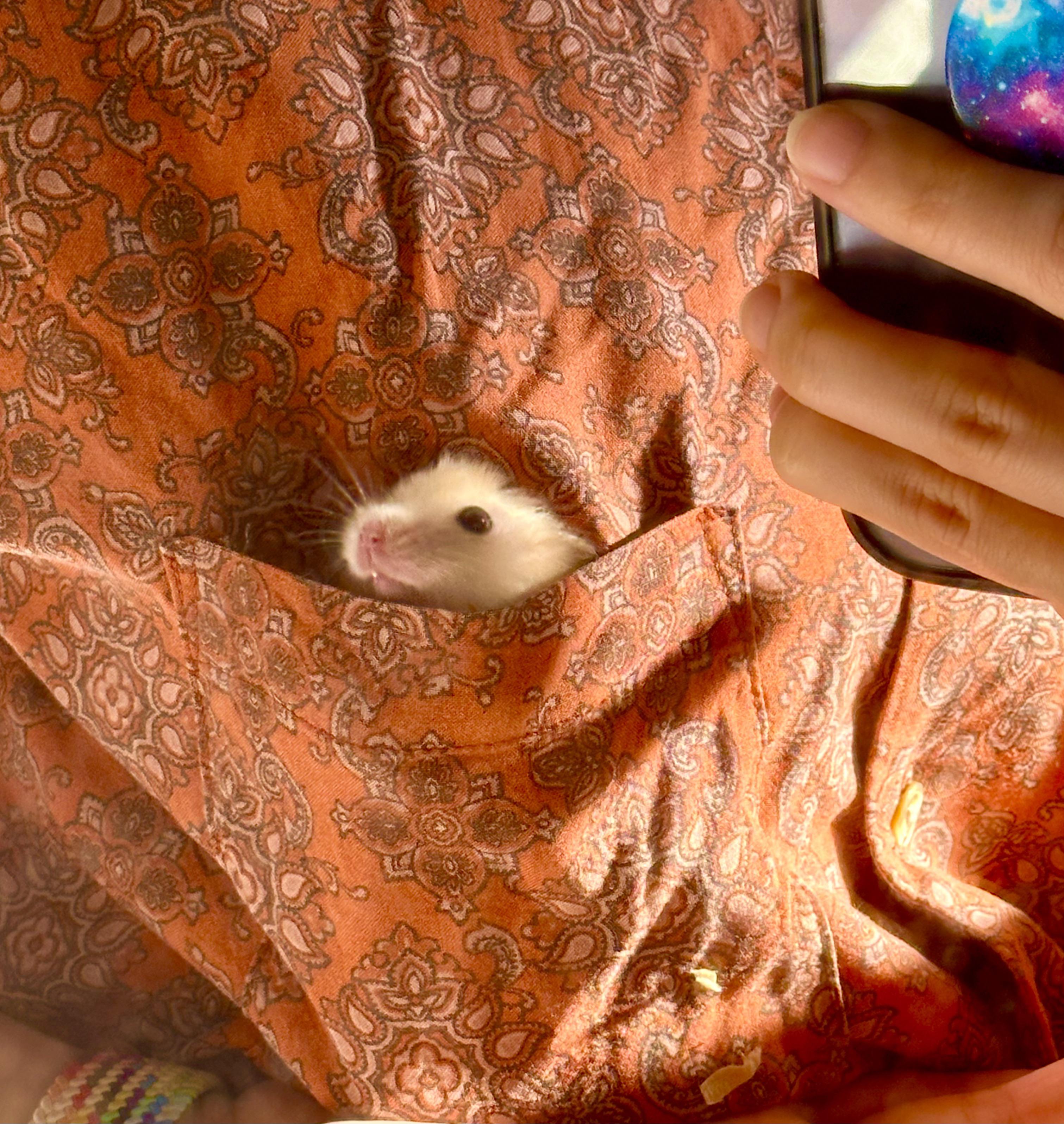 Patepixel in my pocket! | Scrolller