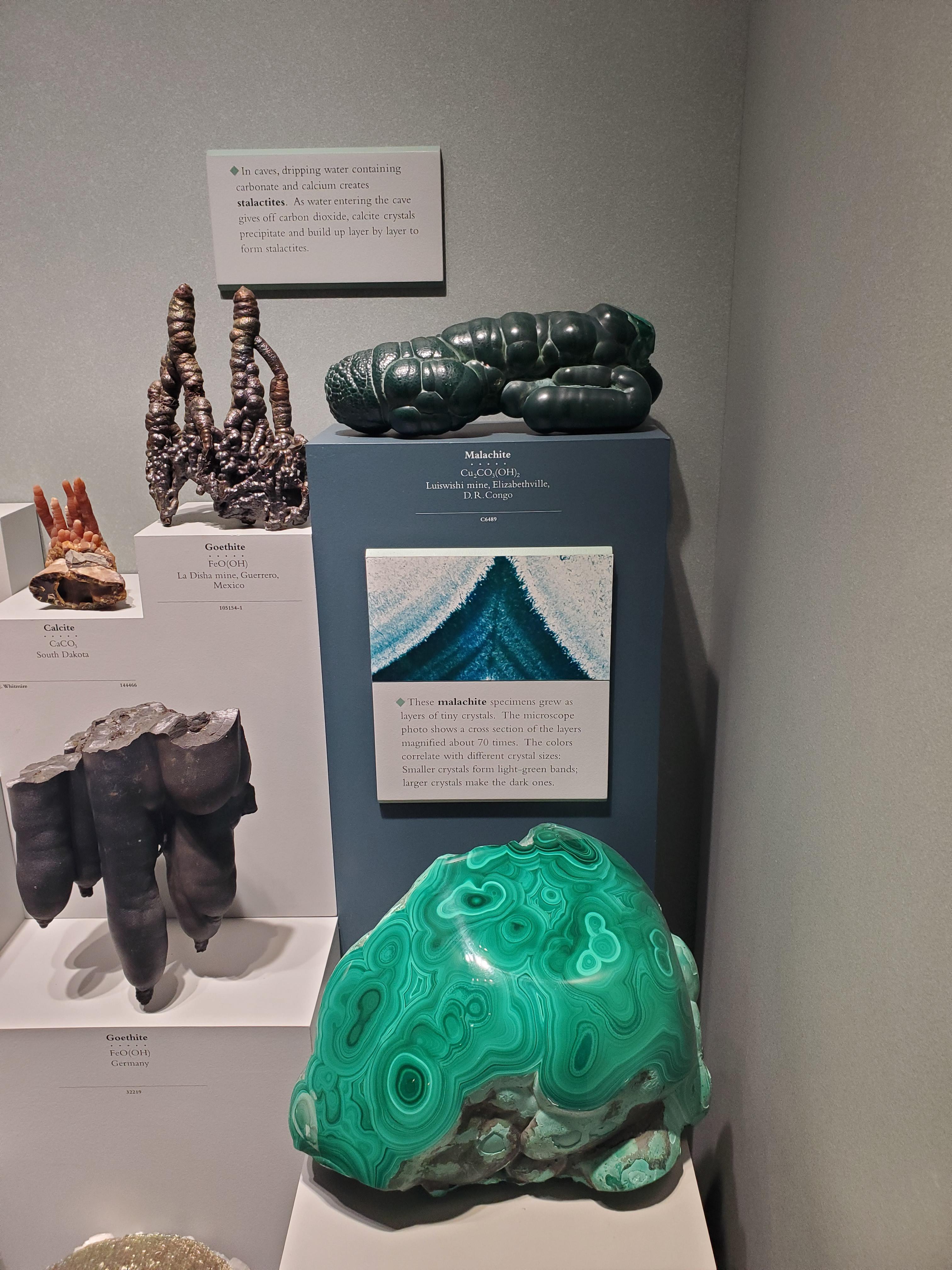 Went to the Smithsonian [natural history museum] today | Scrolller