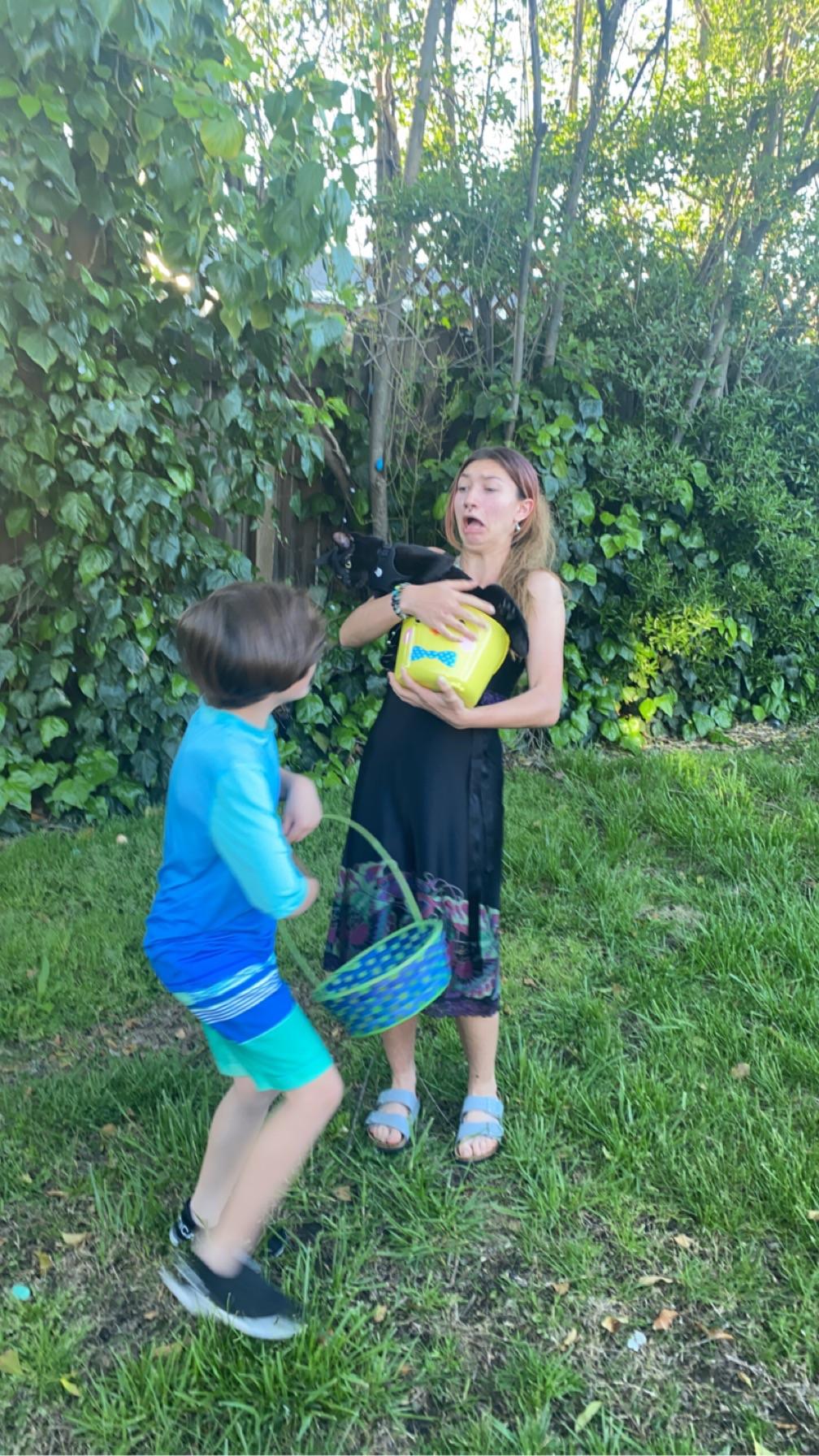 Discover more like VoidCats: My bleppy void and Related Content | Scrolller