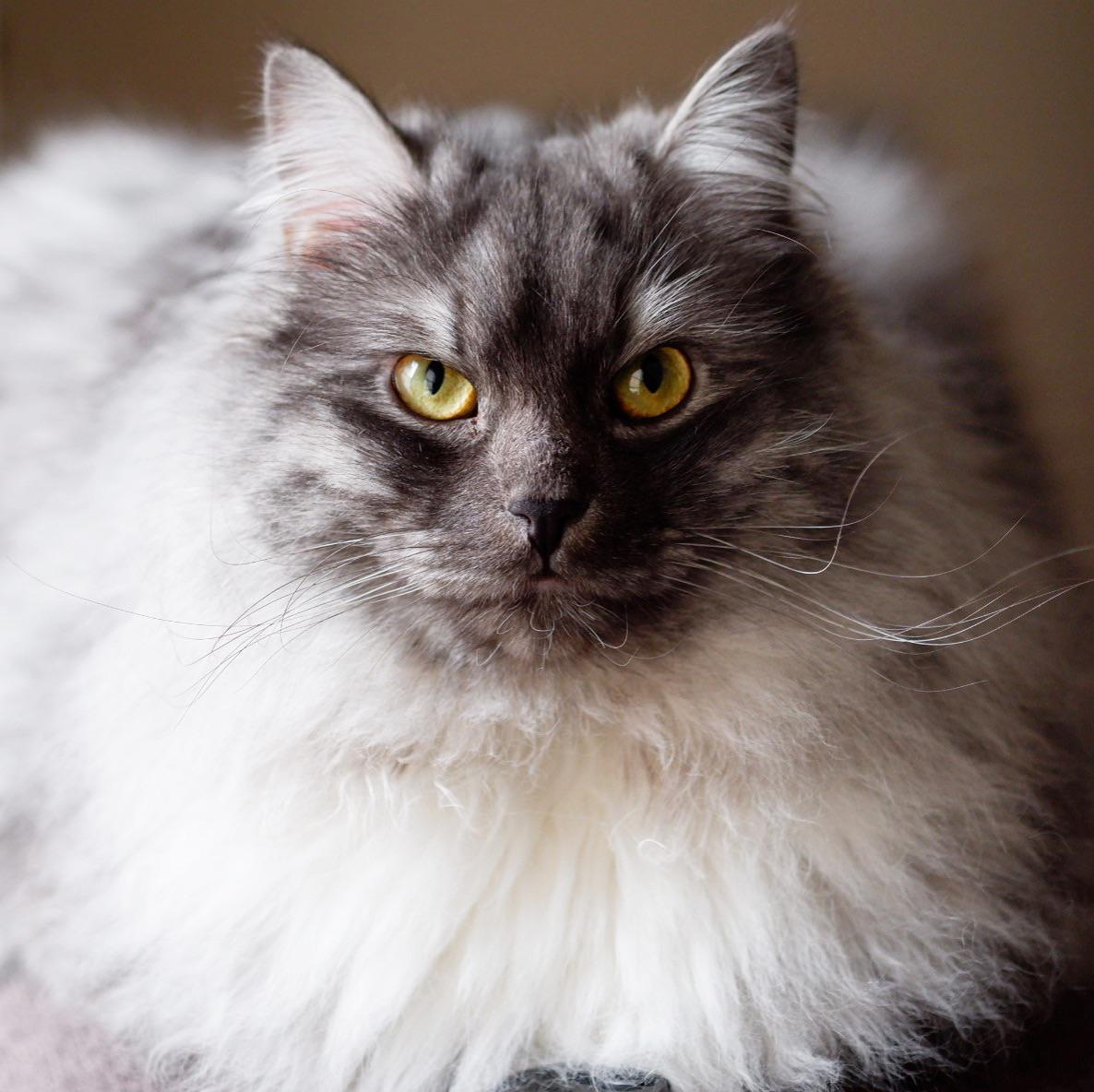 Leo then ️ now | Scrolller