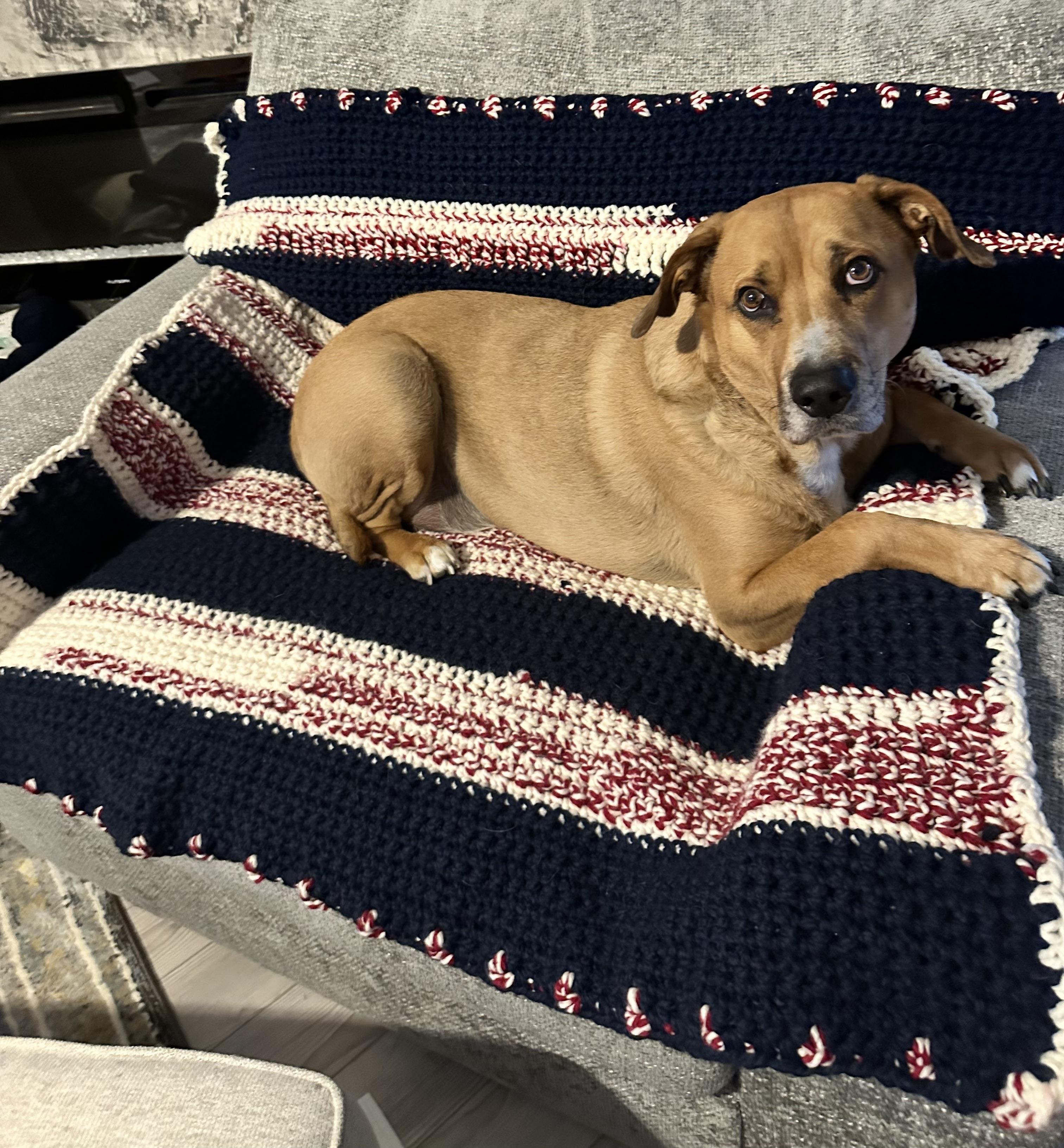 Finished my first blanket! | Scrolller