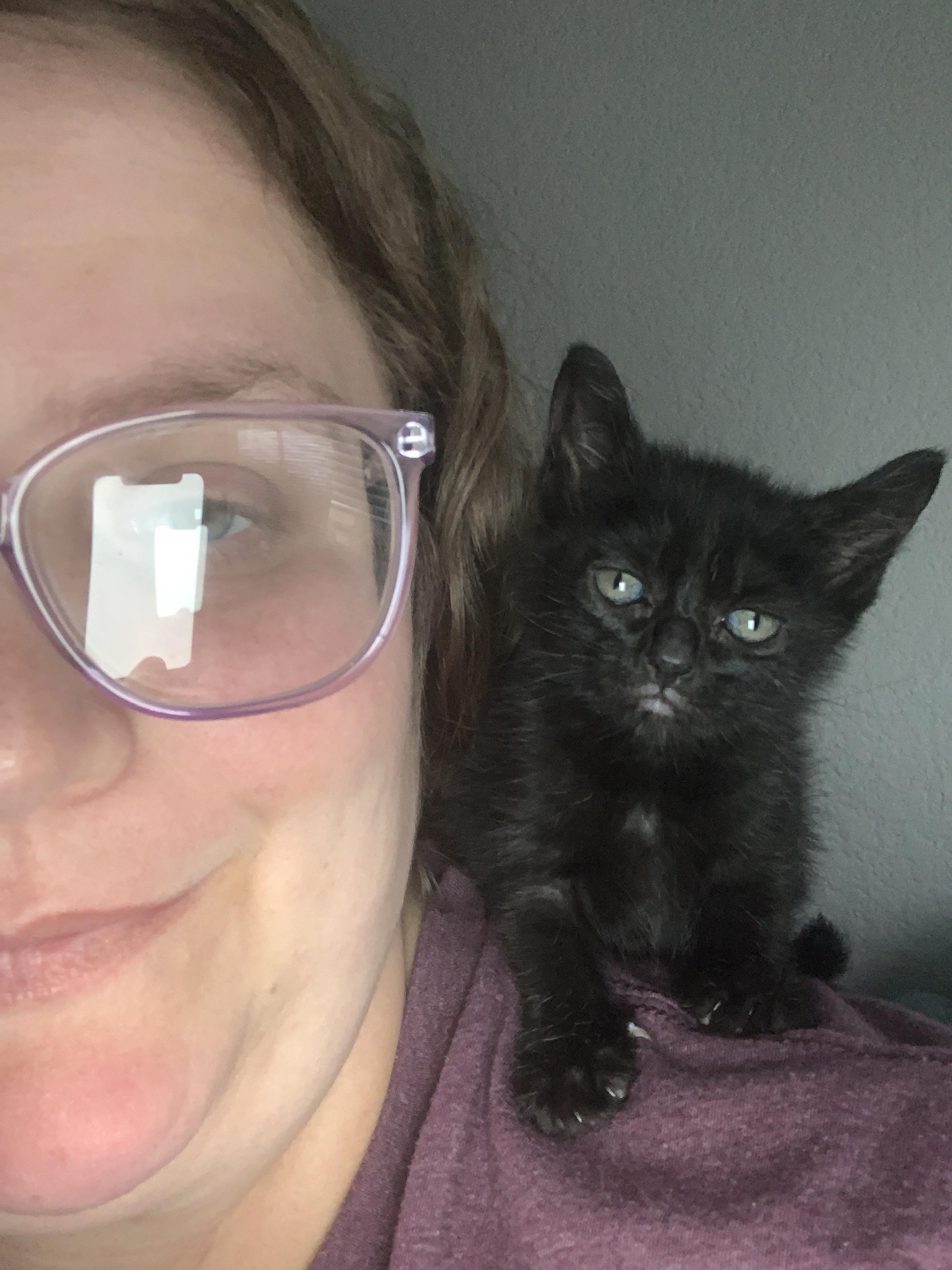 Various pictures of belladonna | Scrolller