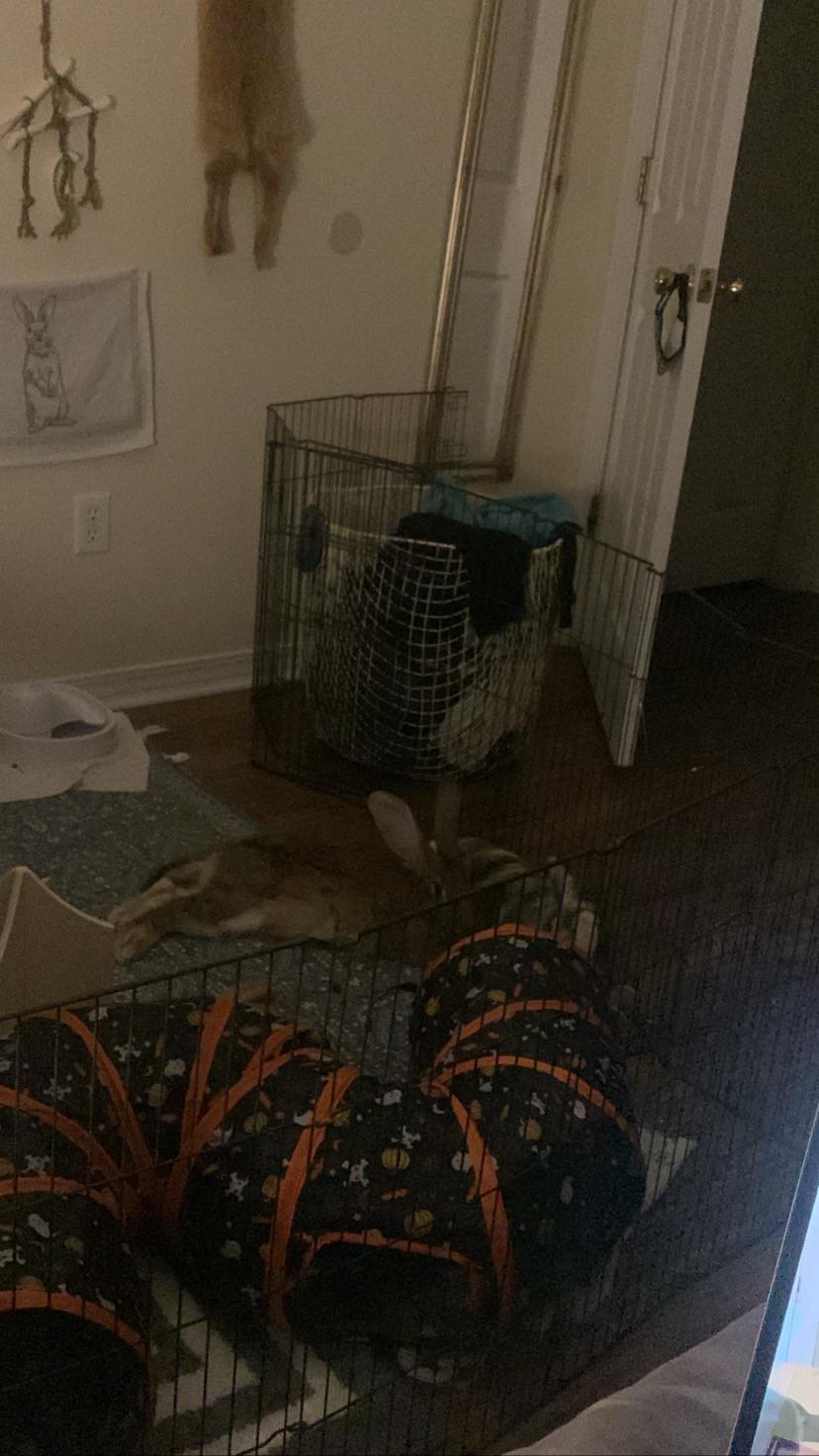 Cuddling - a compilation | Scrolller