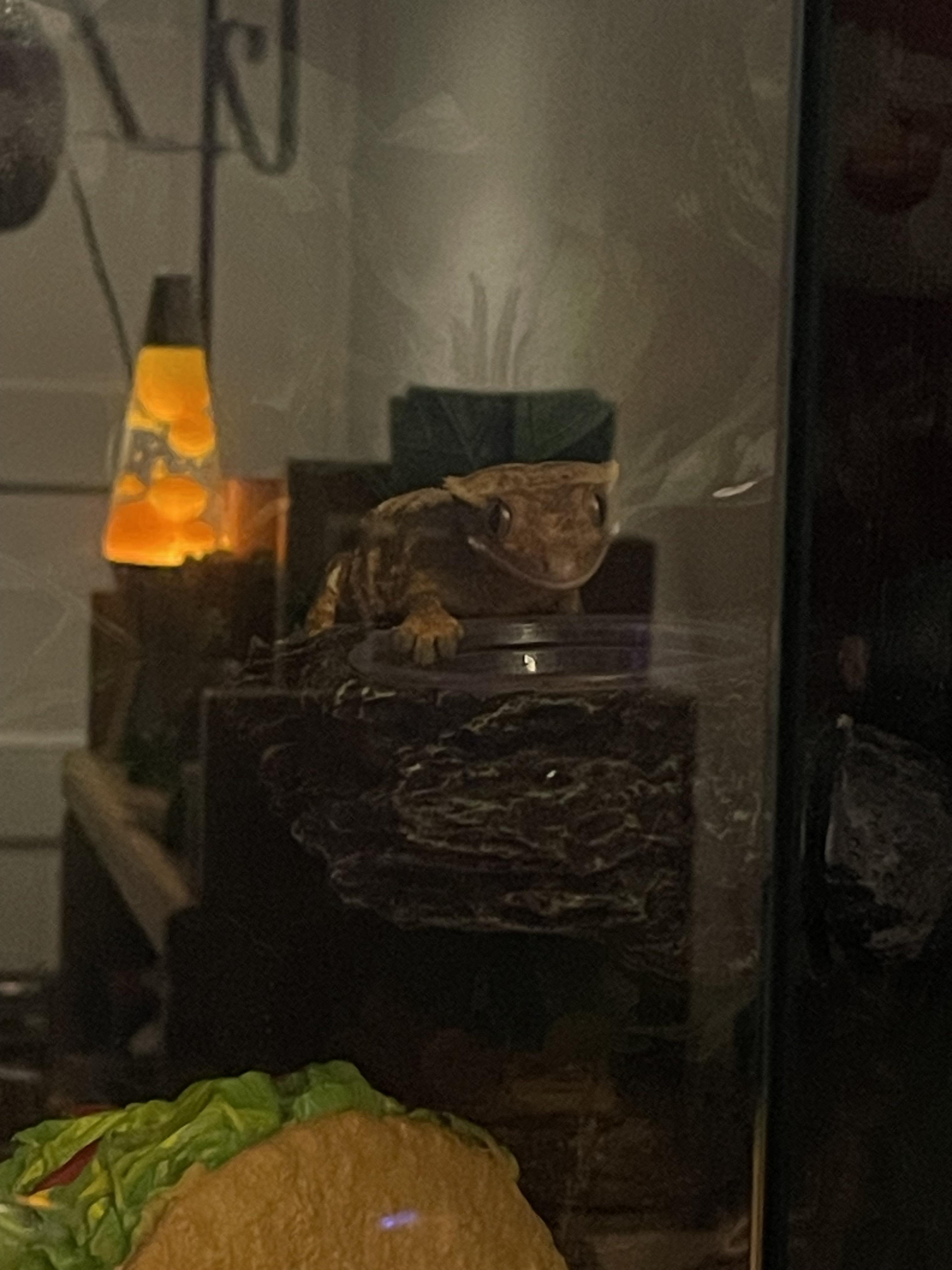 Our nightly triangle stare | Scrolller