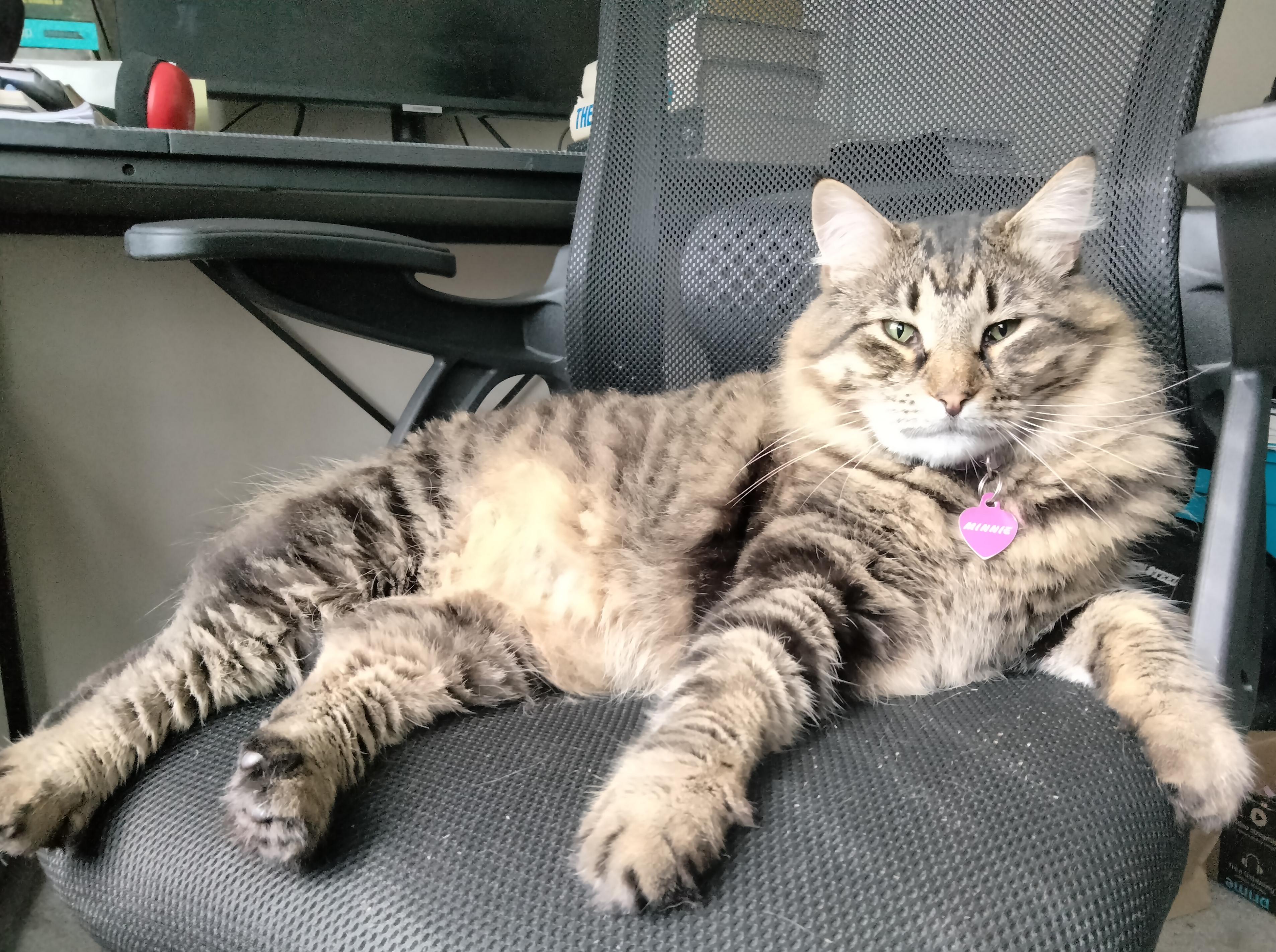 2020 floof models | Scrolller