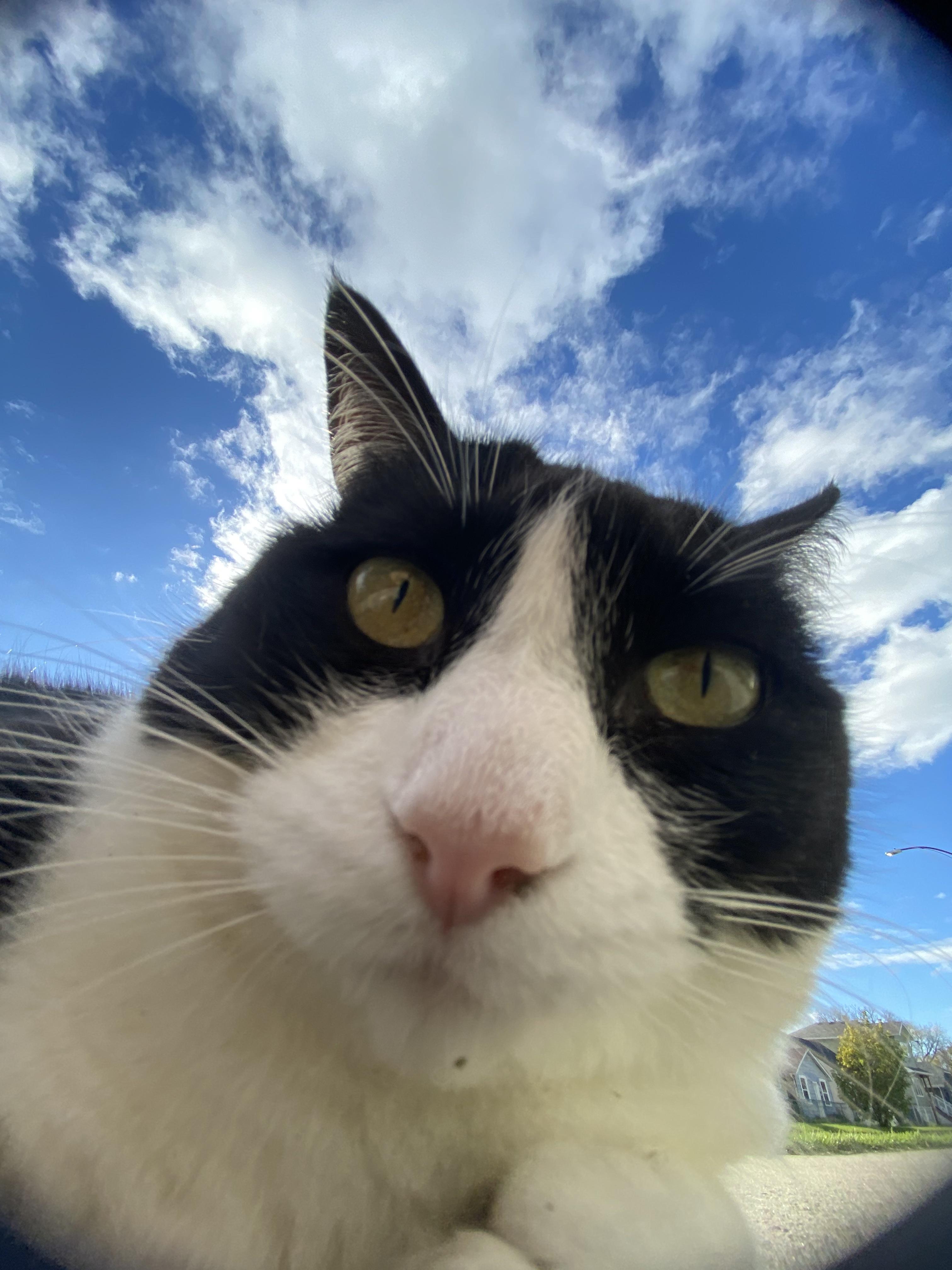 Stacy! I used to hate her but then I suddenly got very drawn to her and tuxedos. | Scrolller