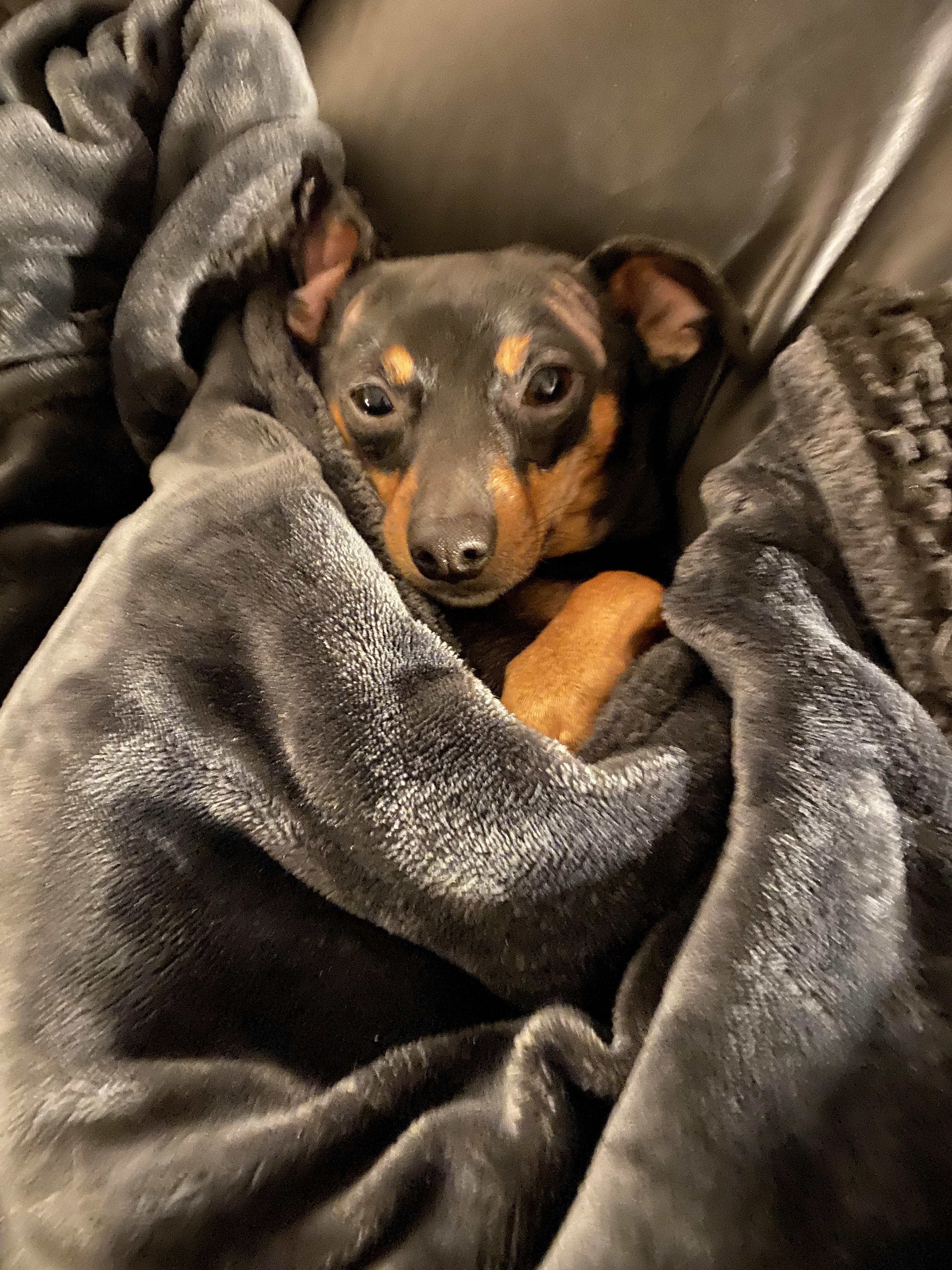 Comfy during a storm | Scrolller