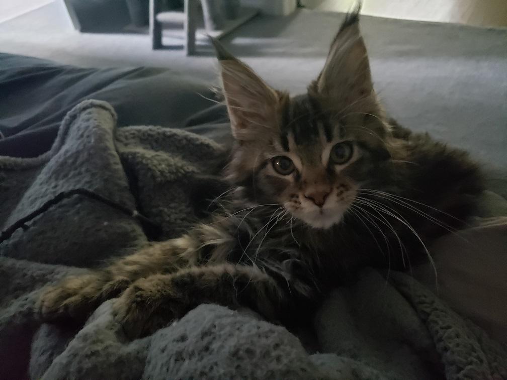 Pharaoh @3mo | Scrolller