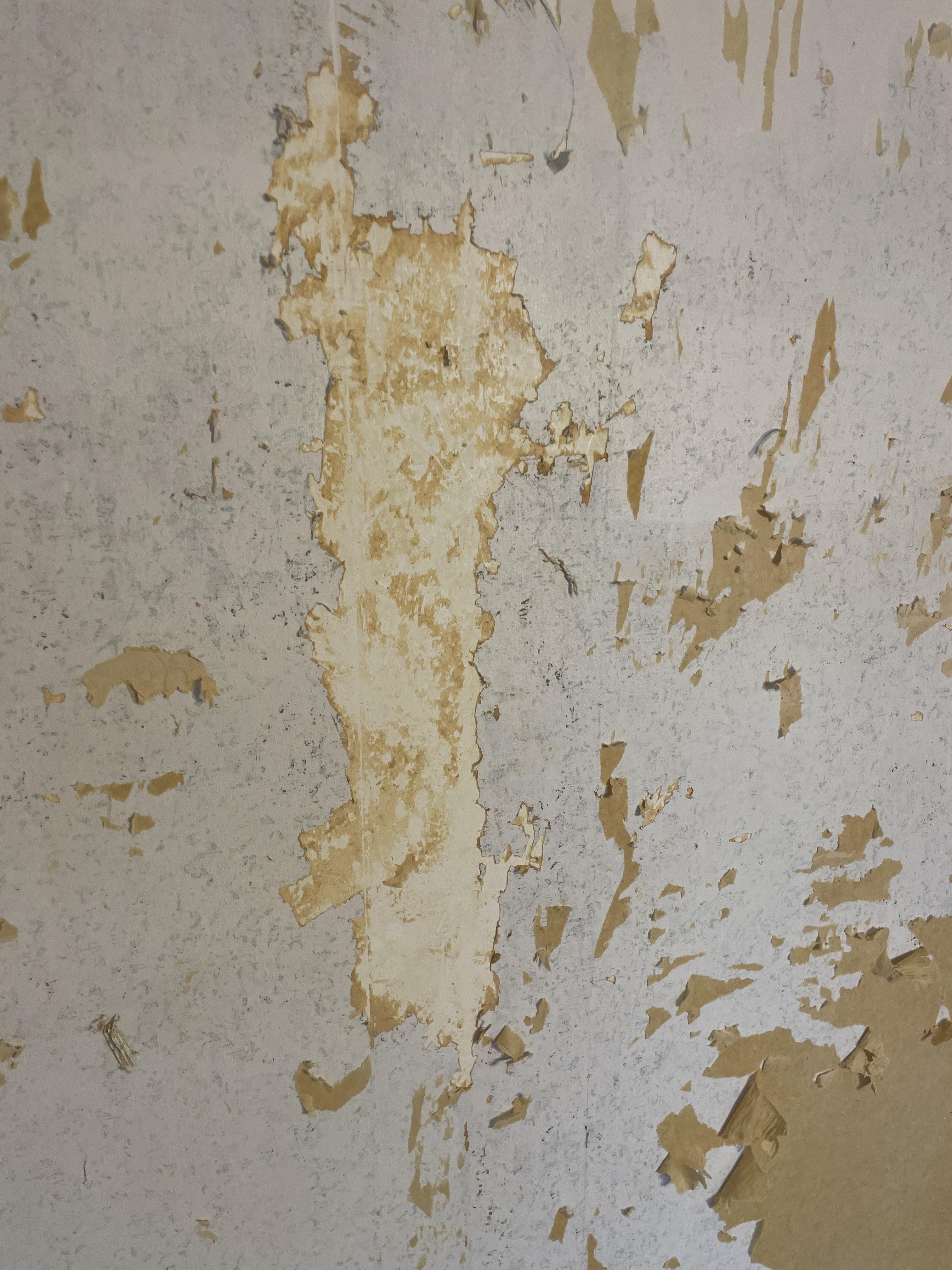 1950s wallpaper - what else can I do to remove? | Scrolller