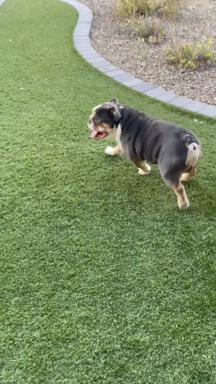 You probably forgot all about us. But we love seeing you happy Chubbz! | Scrolller