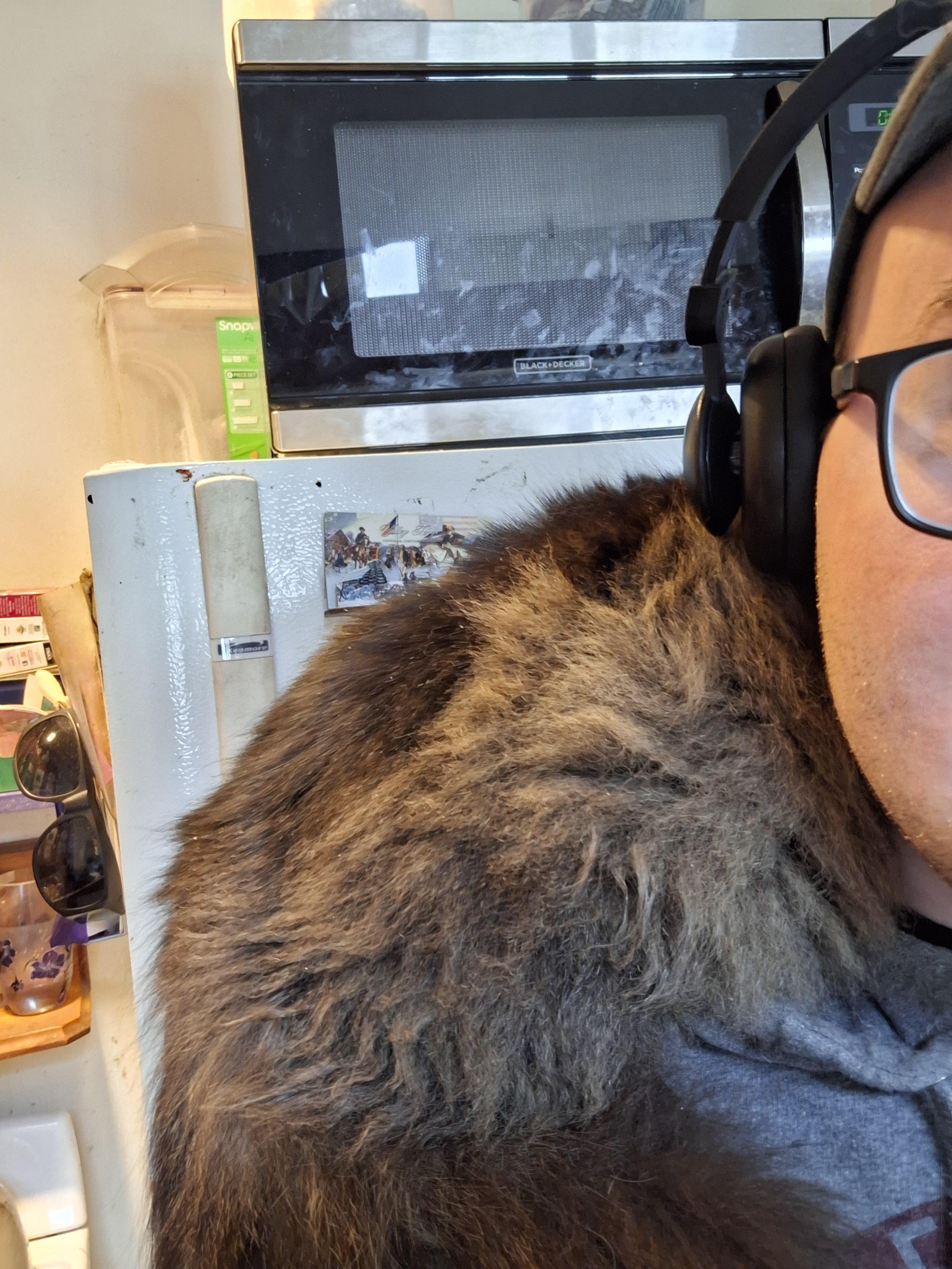 She loves to ride on my shoulder | Scrolller