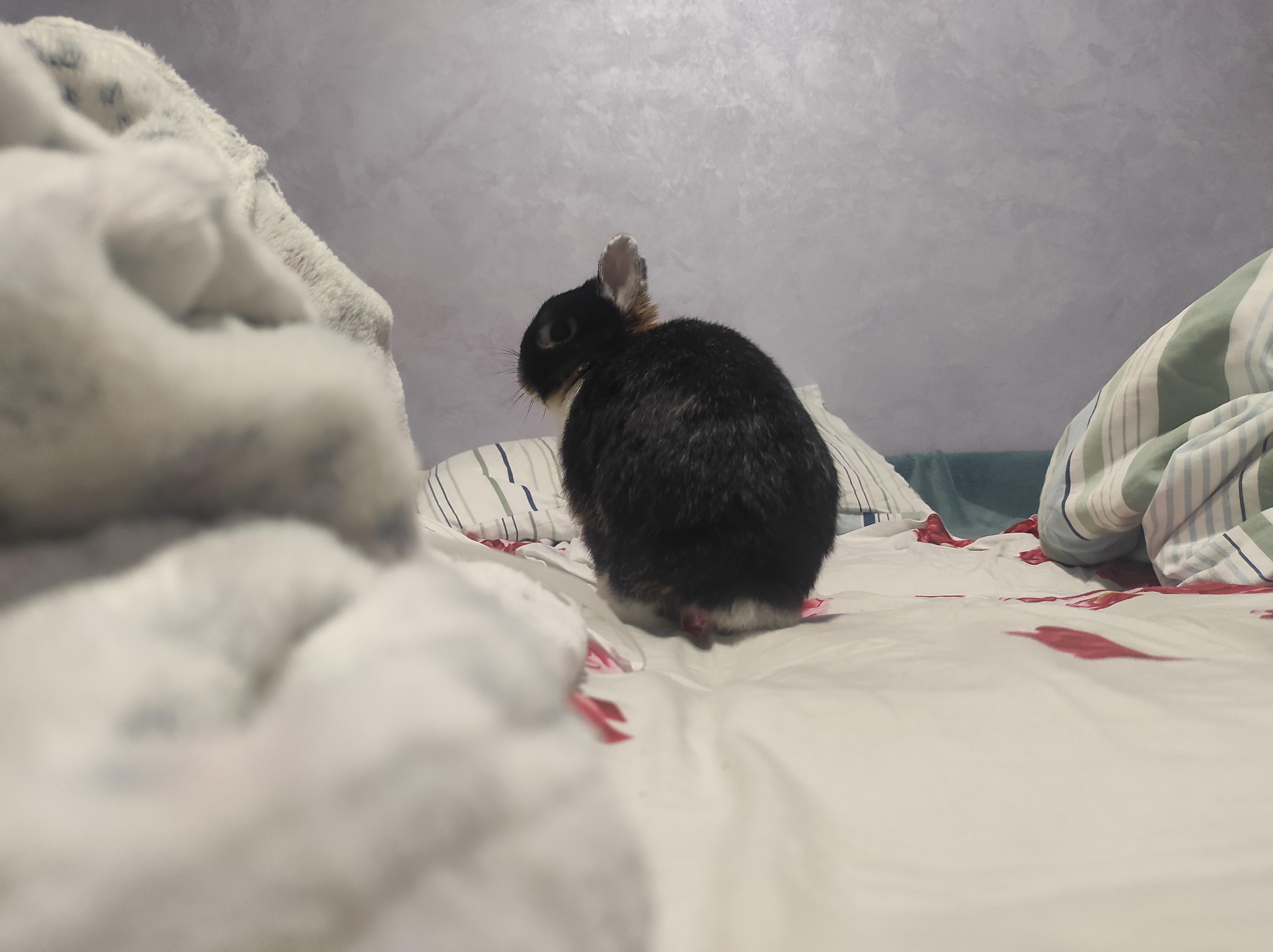 What are you doing on my bed? Shameless | Scrolller