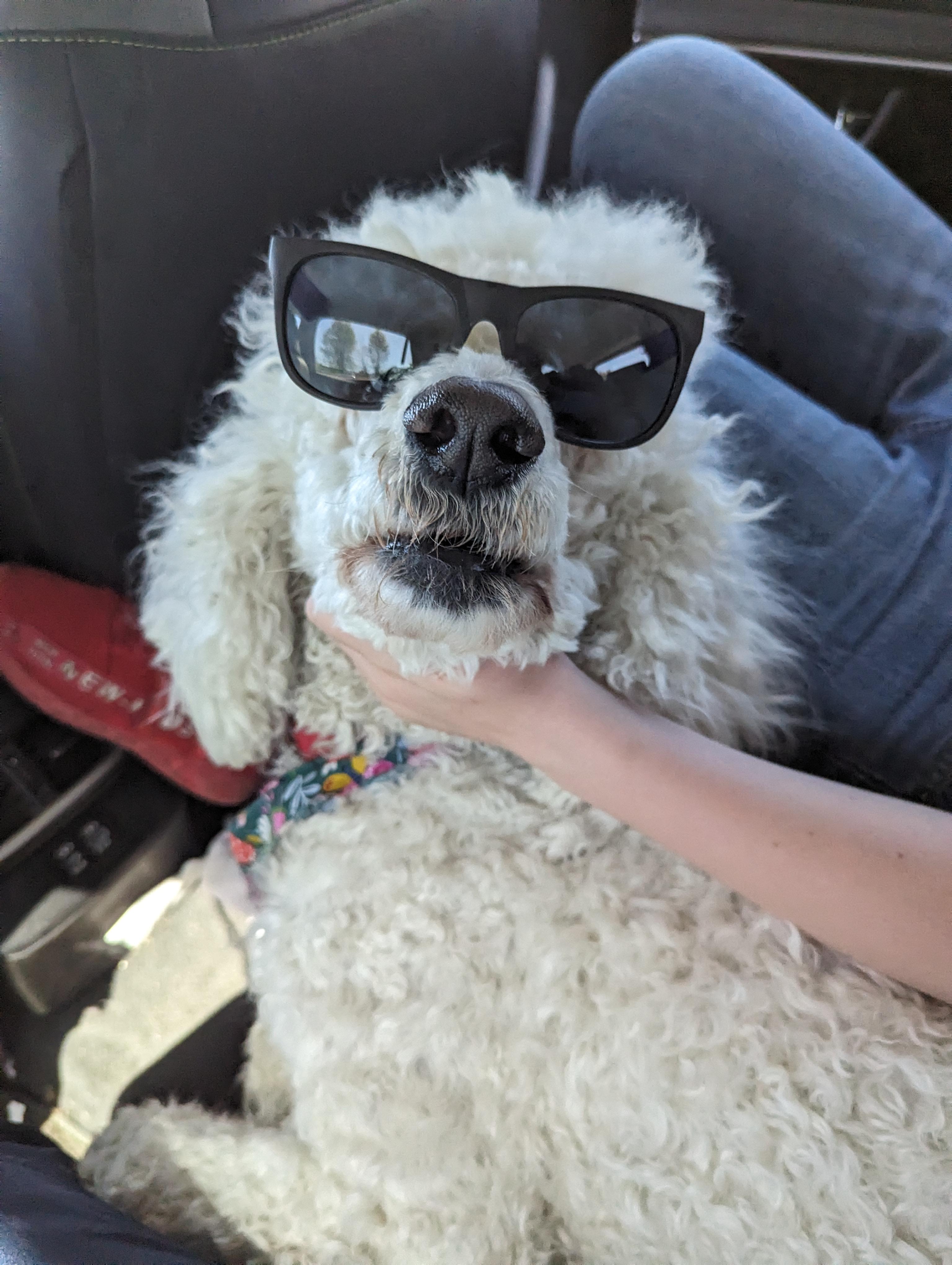 Stay cool dude | Scrolller