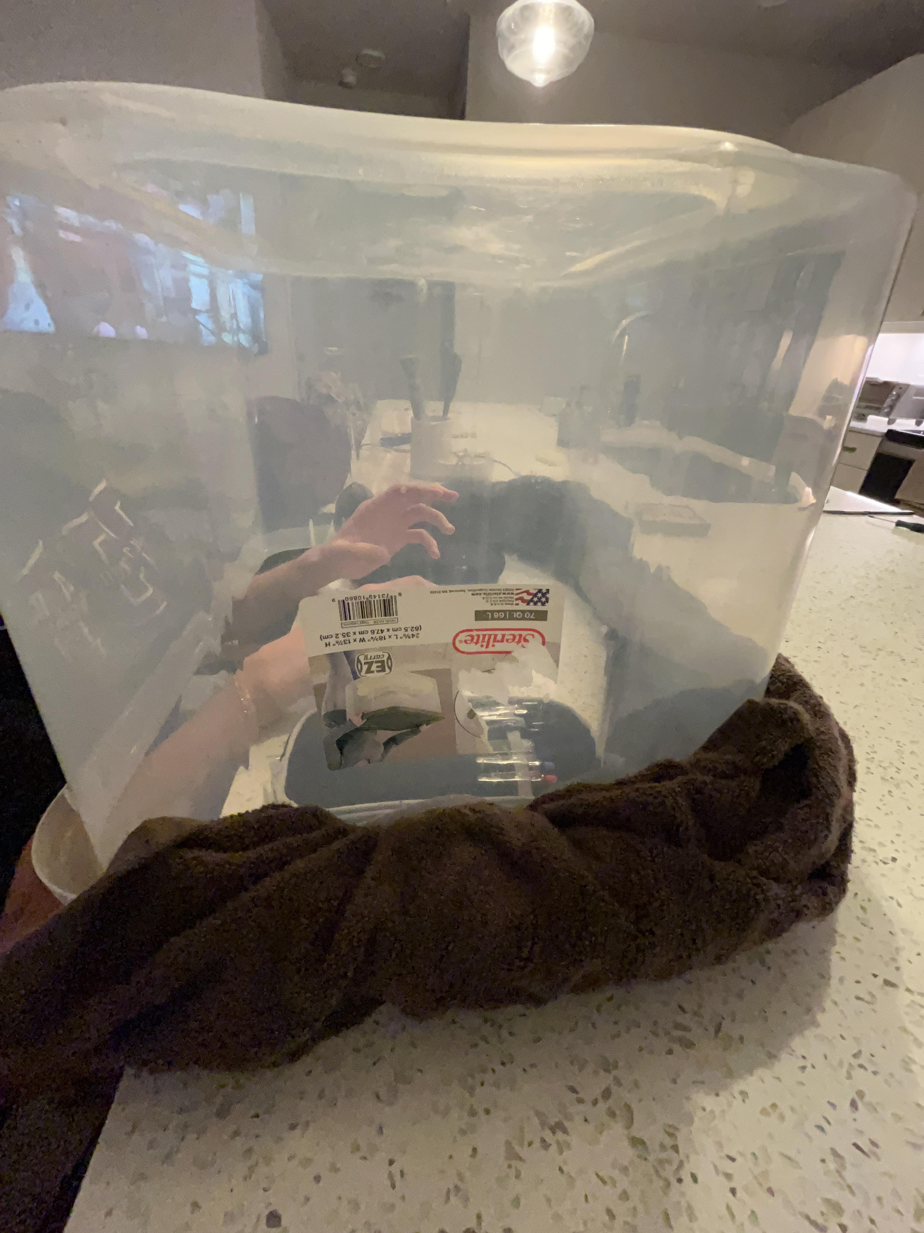 [Technique] Is This at Least a Decent Thought? | Scrolller