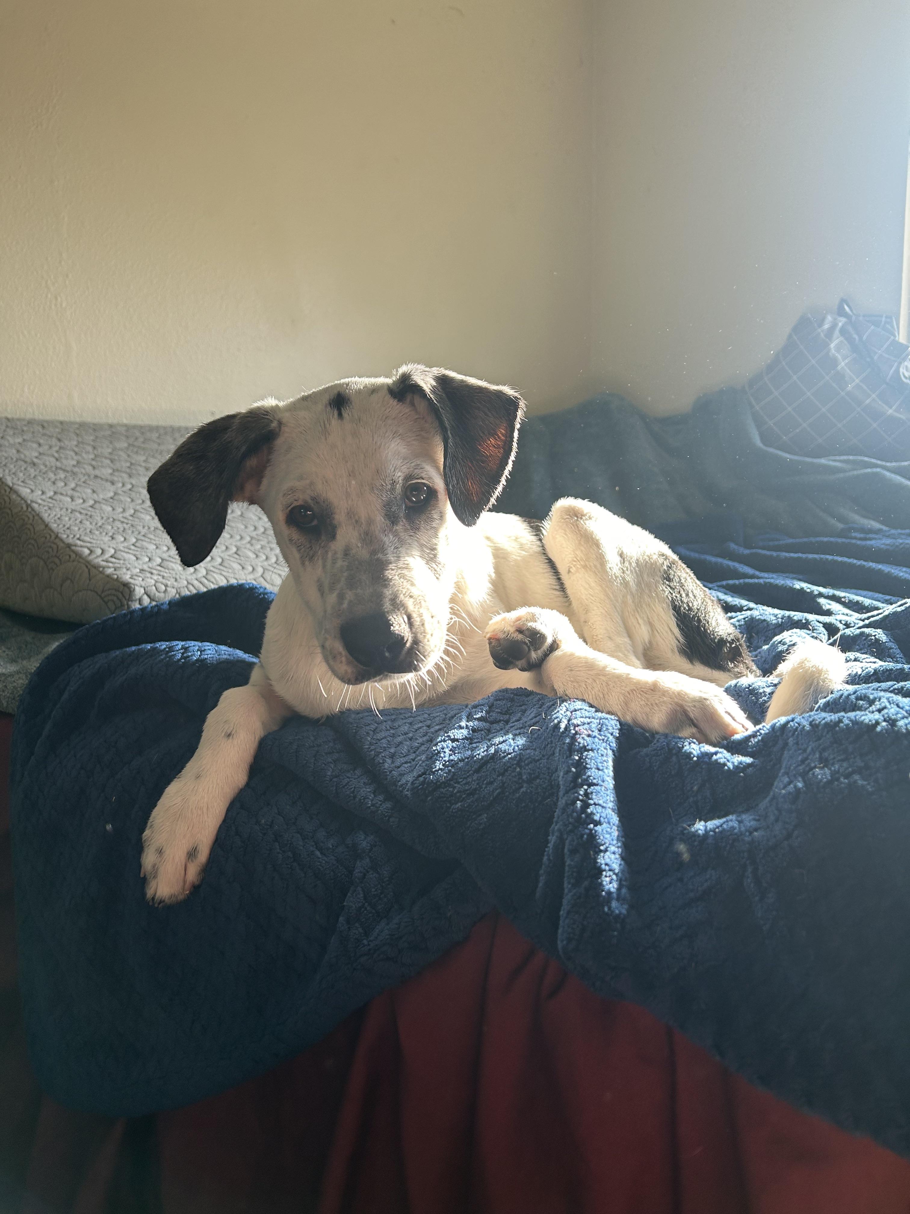 Meet Butter | Scrolller