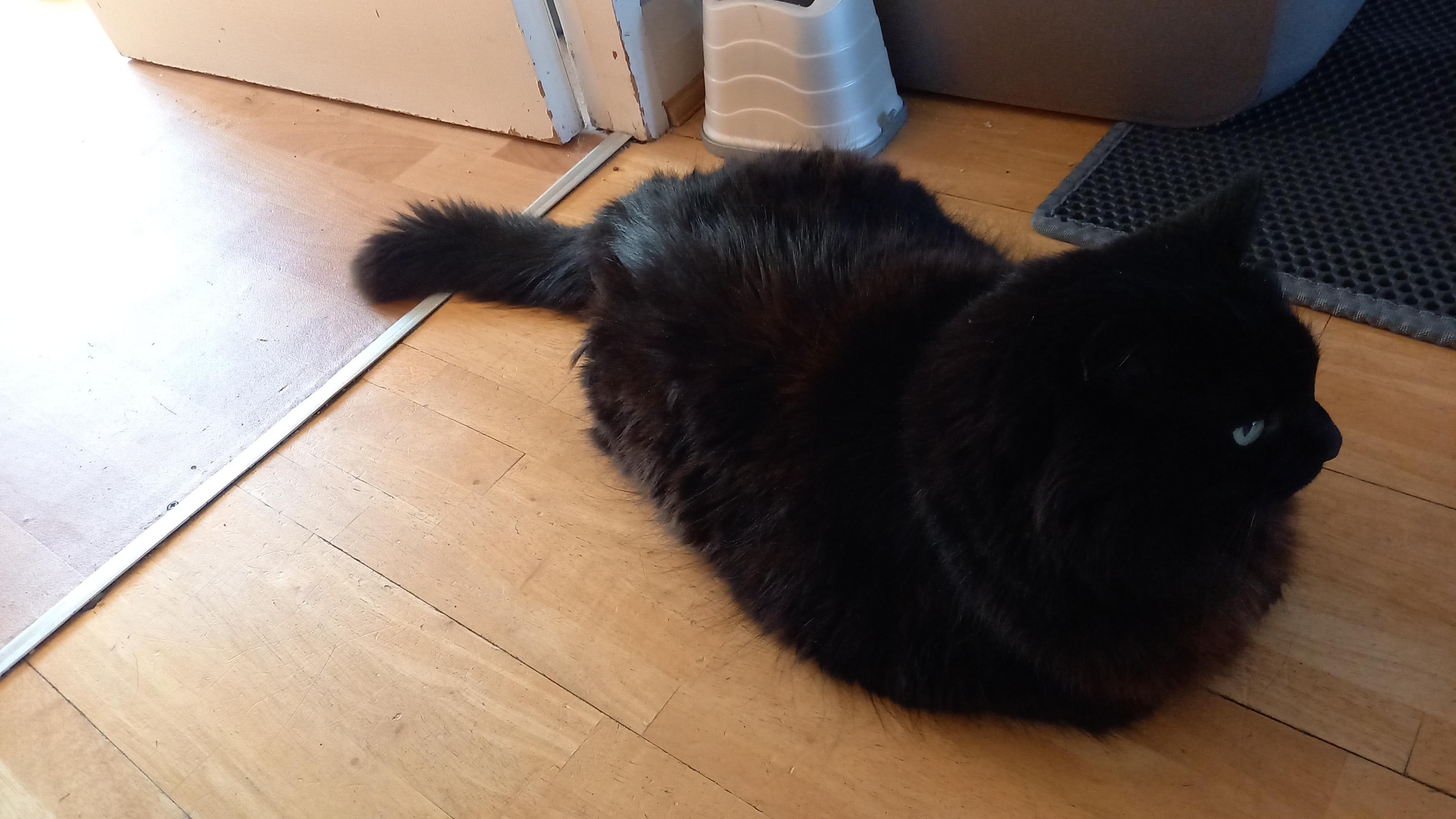 Freshly baked void loaf | Scrolller