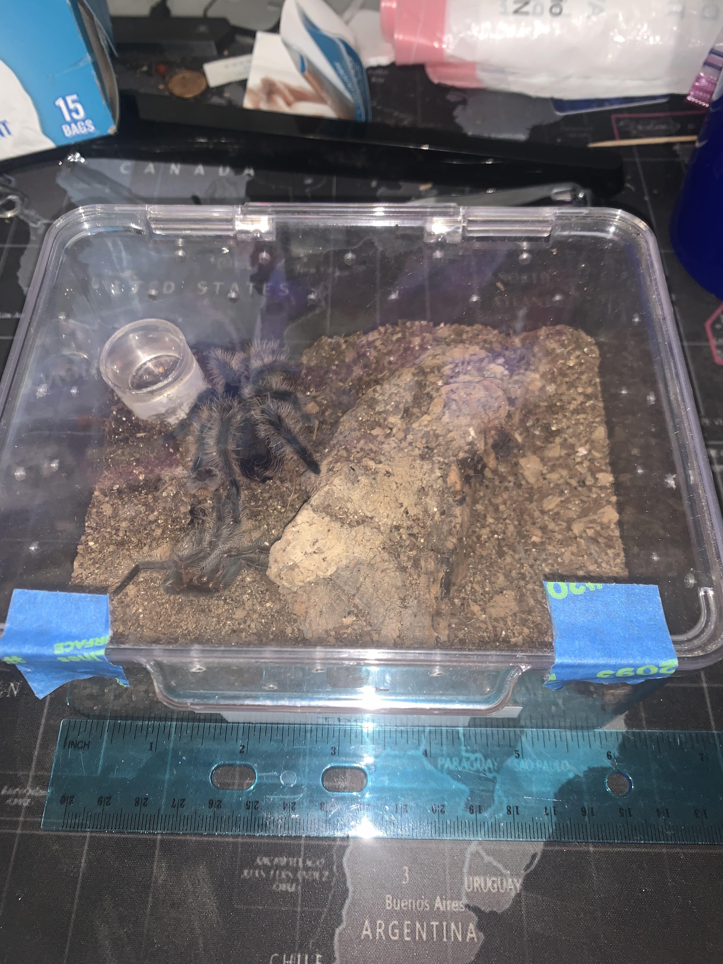 Enclosure upgrade? | Scrolller