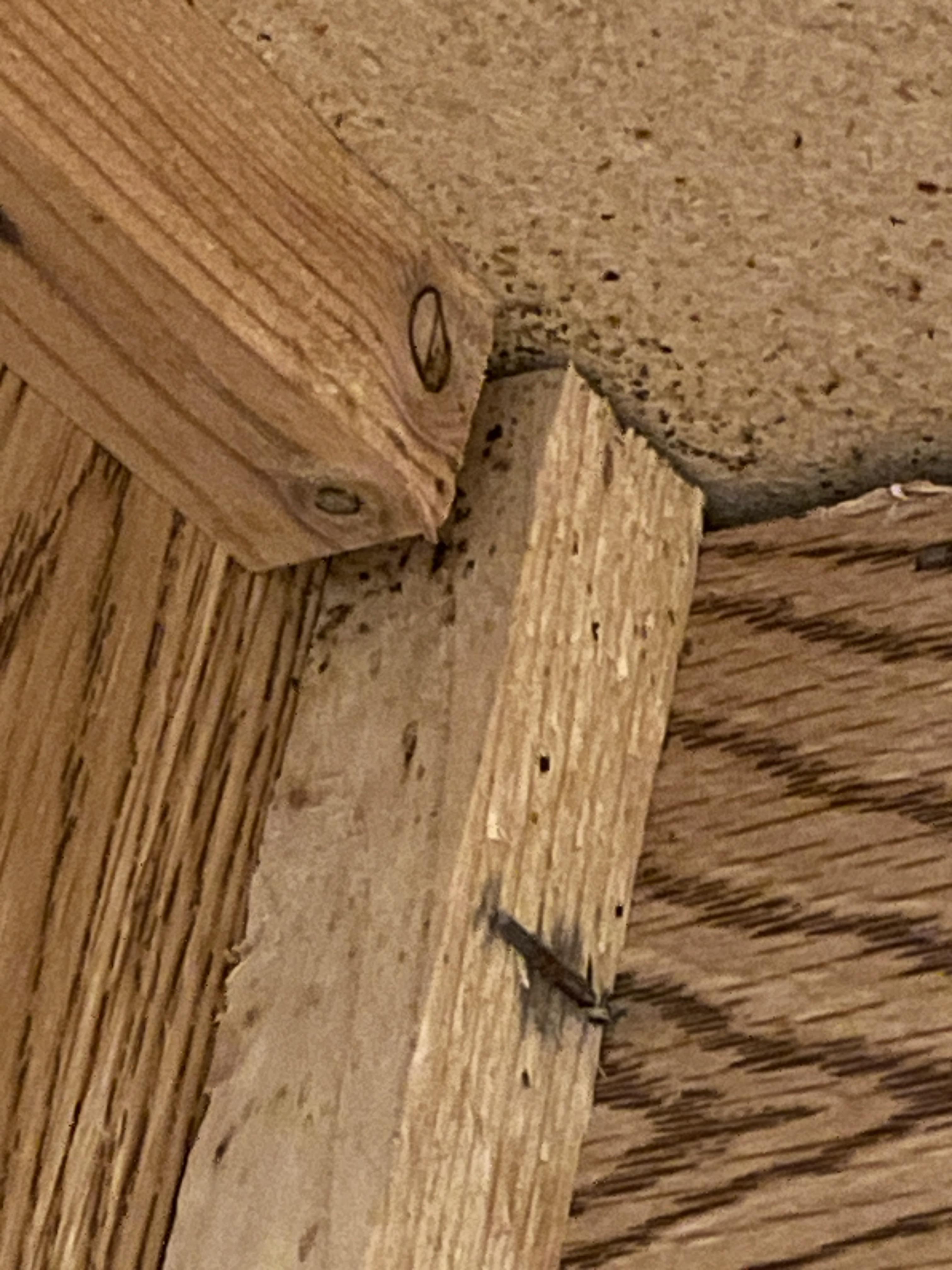 Does this look like mold or??? | Scrolller