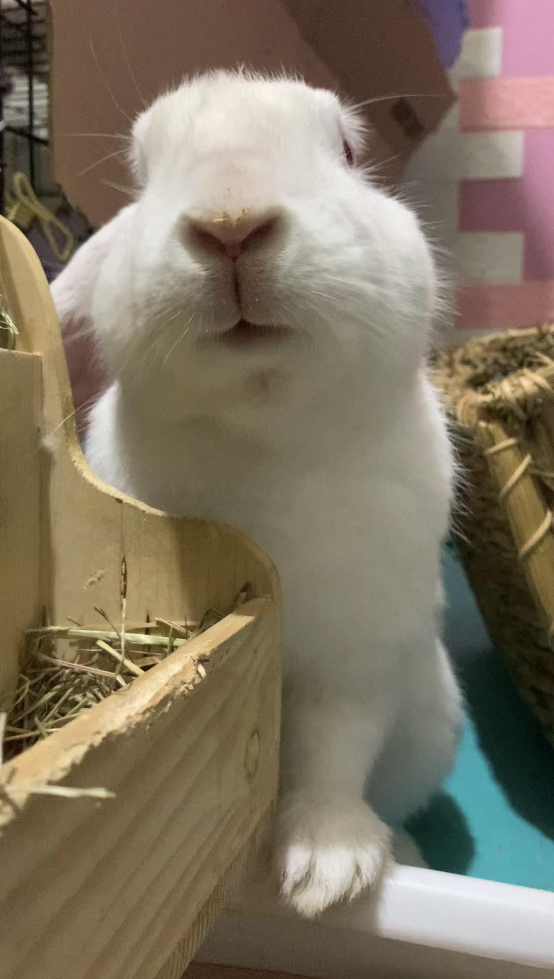 Stu does this face when he wants more pellets | Scrolller