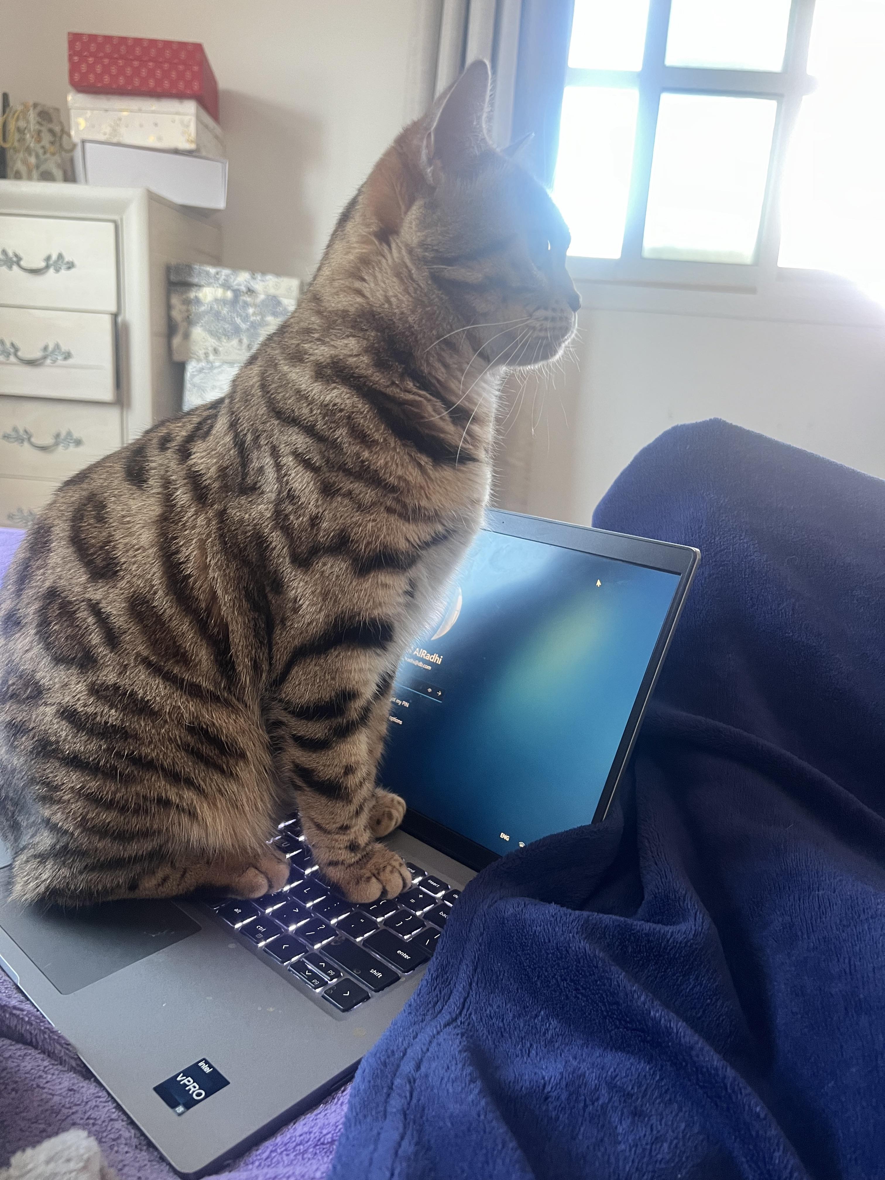 Enforced Bedtime!! | Scrolller