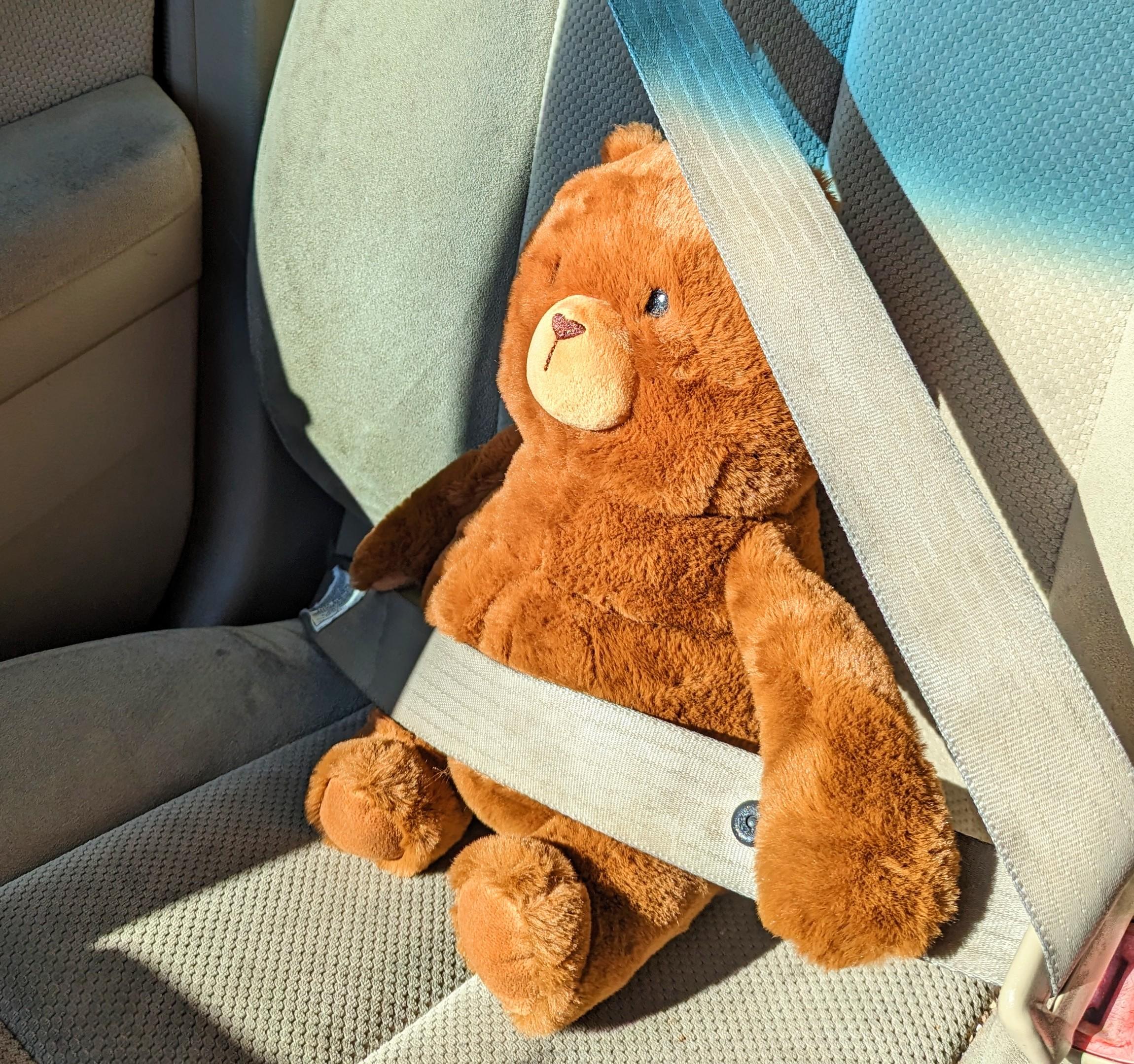 Meet pebble | Scrolller