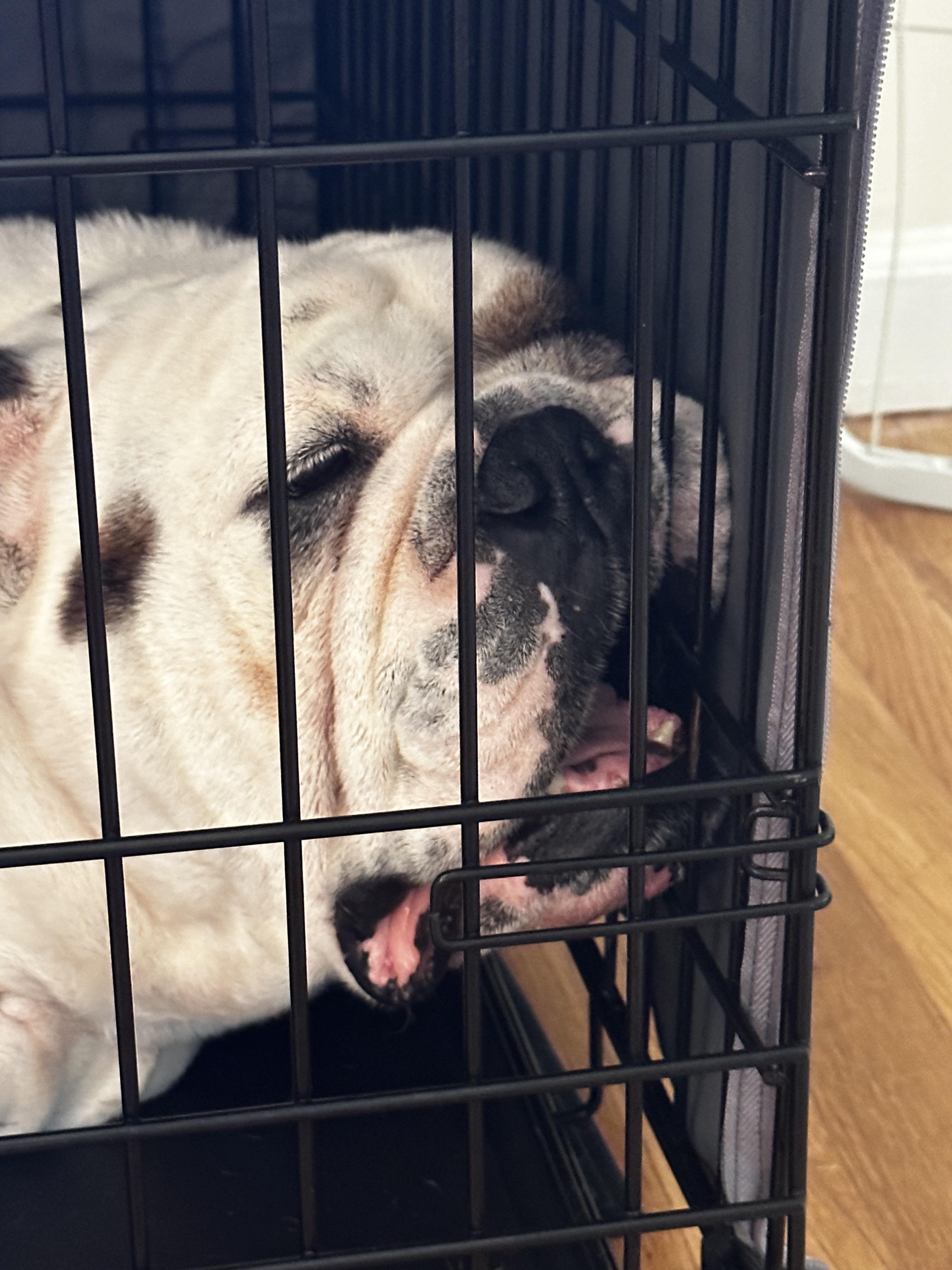 Odd behavior | Scrolller