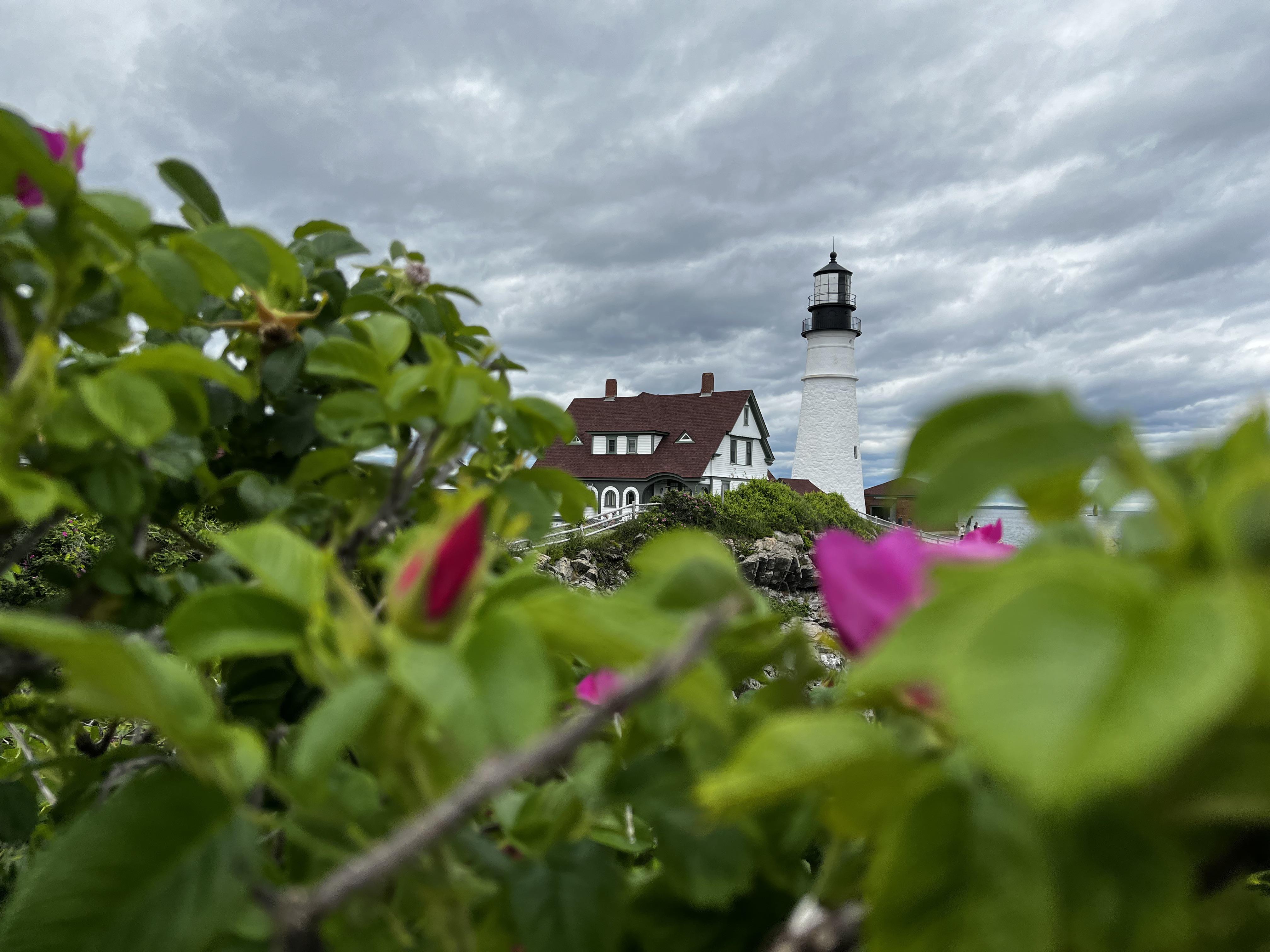 Maine, June 2022 | Scrolller