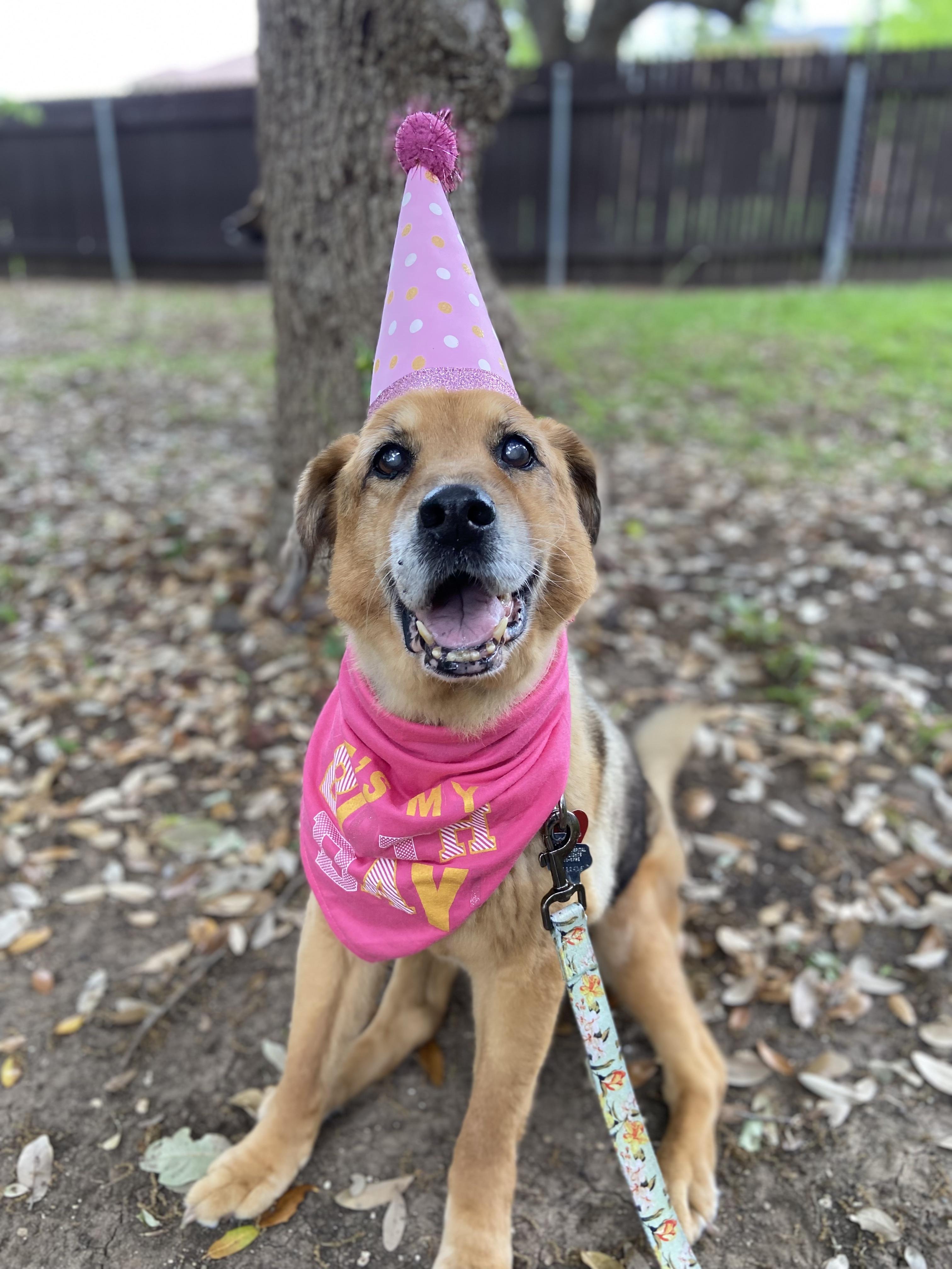 A very happy 17th birthday to my little goblin! | Scrolller