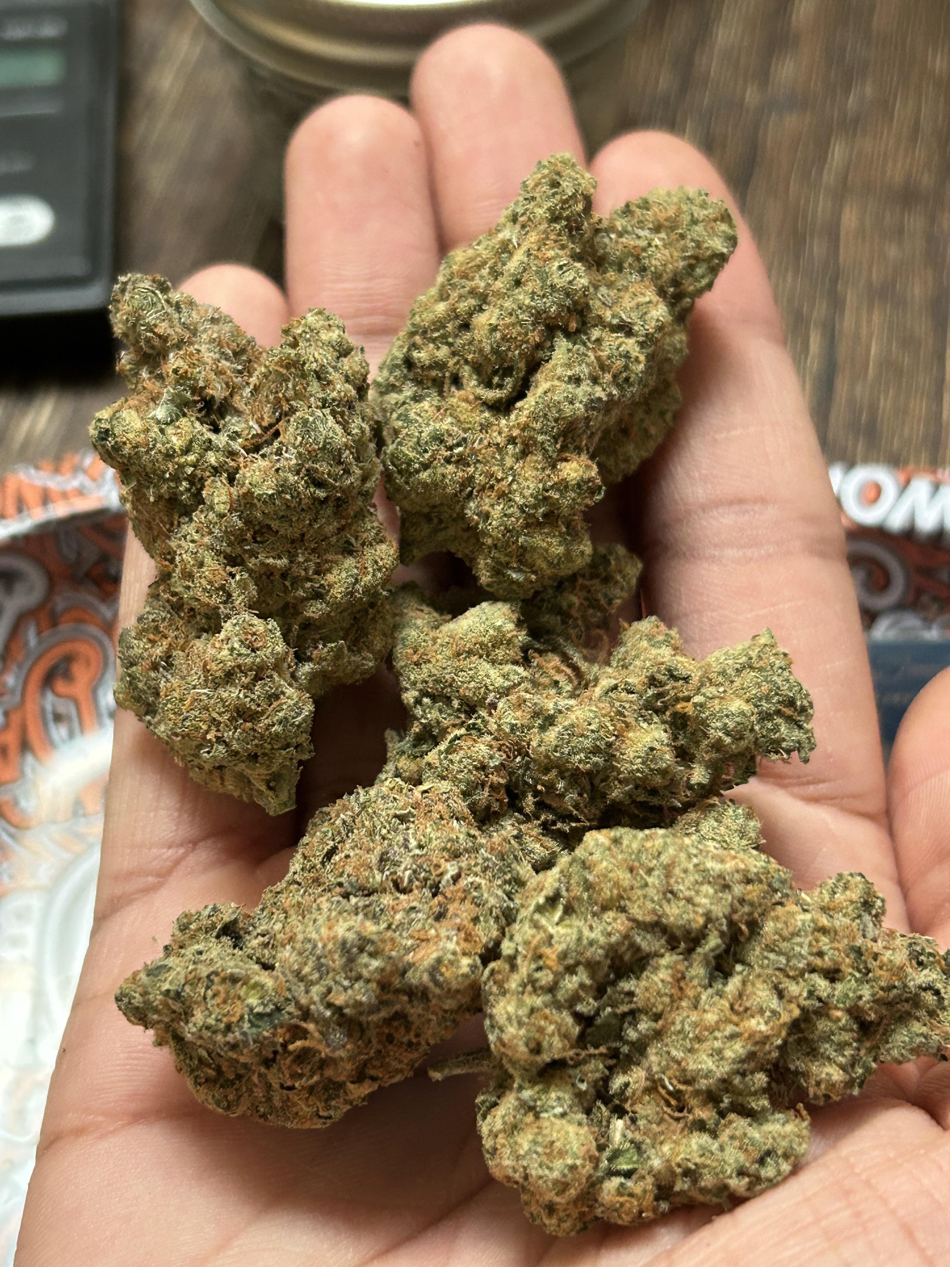 Cha cha cha cheetah | Scrolller