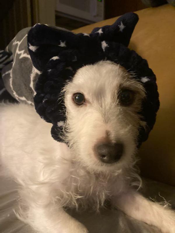 Myah is always chillin | Scrolller