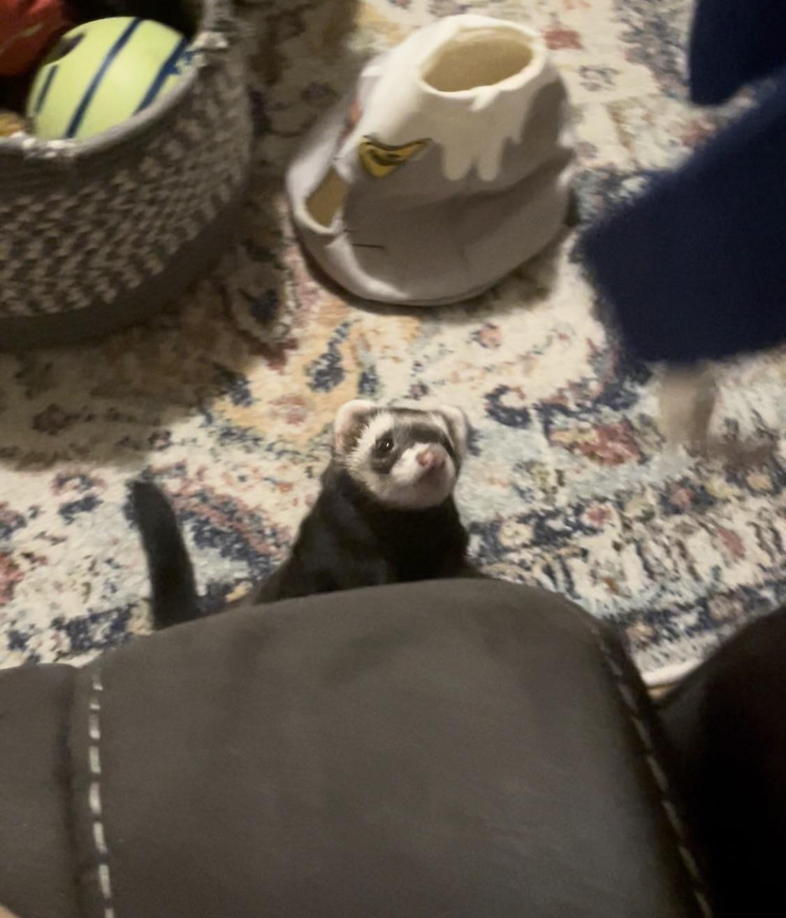 Pics From Playtime!! | Scrolller