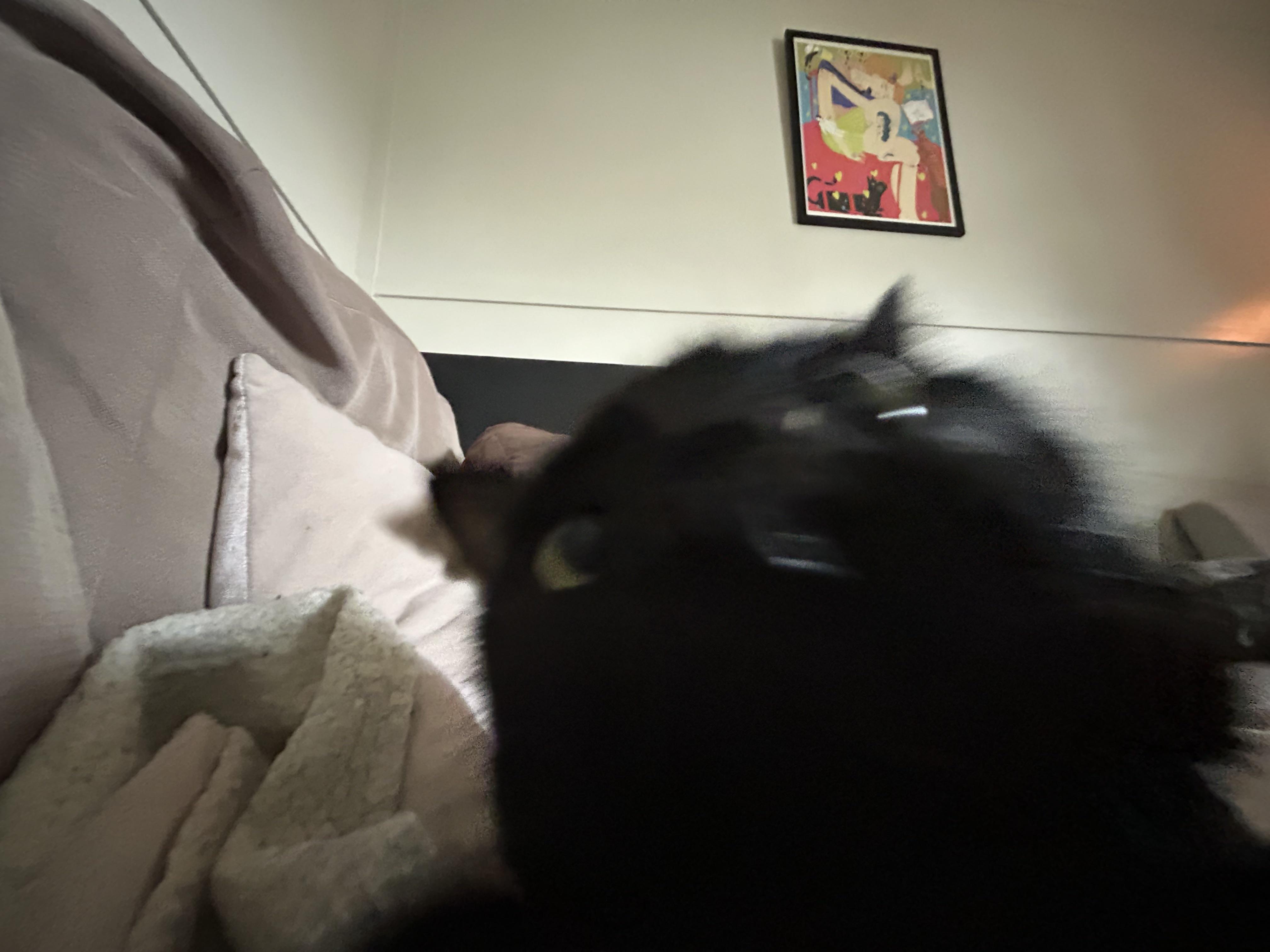 My special little void | Scrolller