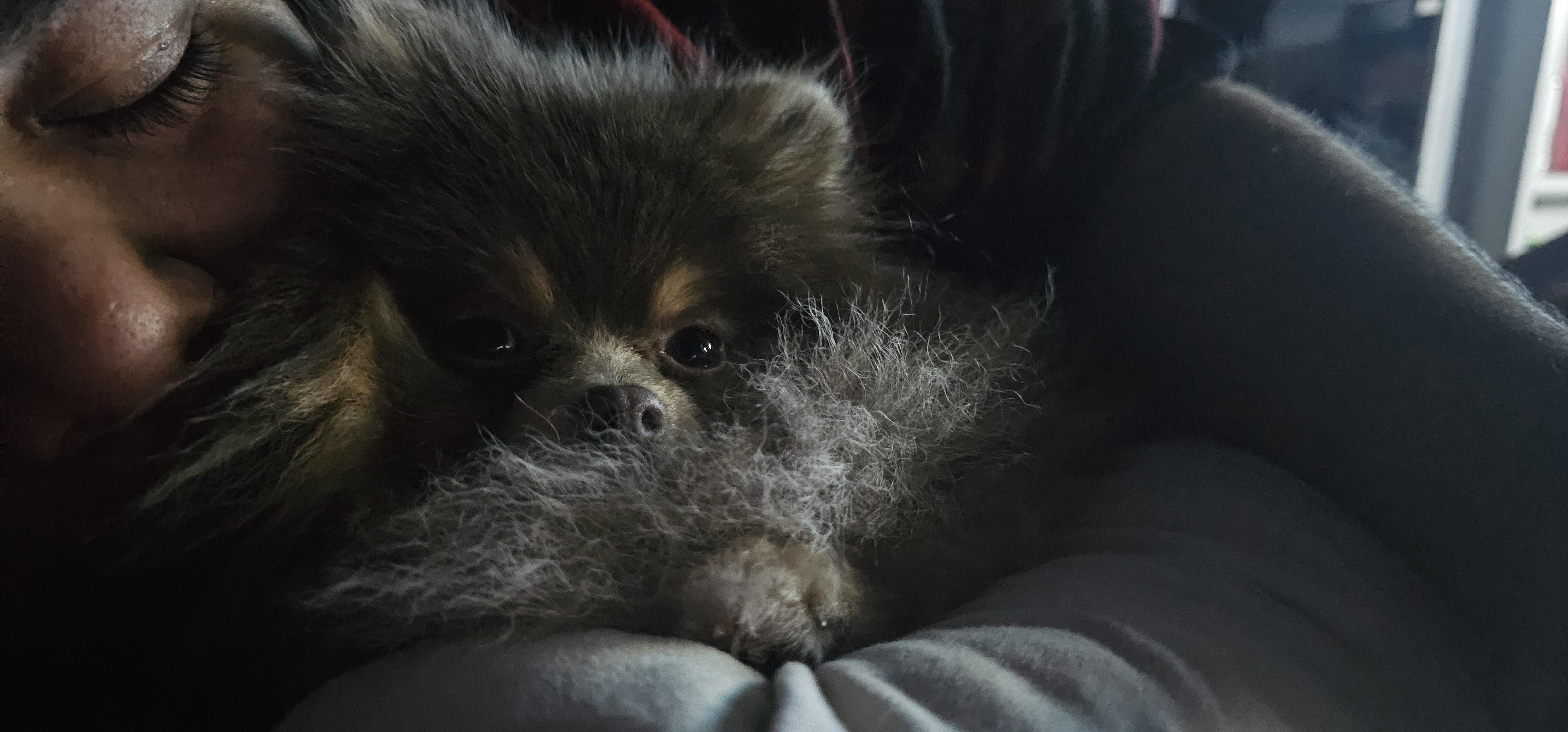 Swipe -> | Scrolller