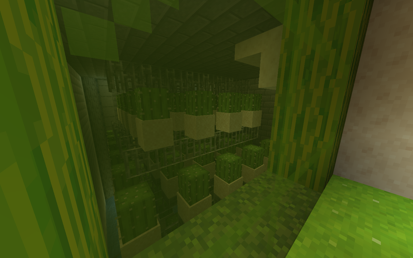 My cactus farm (the cactus is based on Bumbo Cactoni from HC season 5) | Scrolller