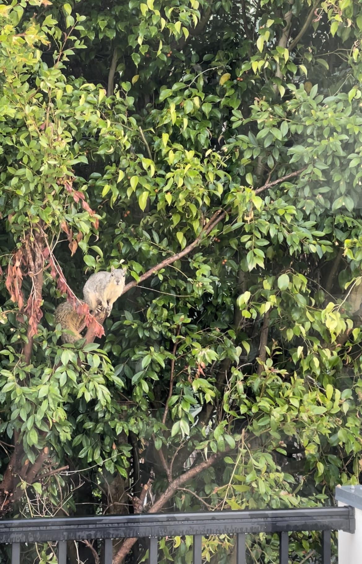 My visitors | Scrolller