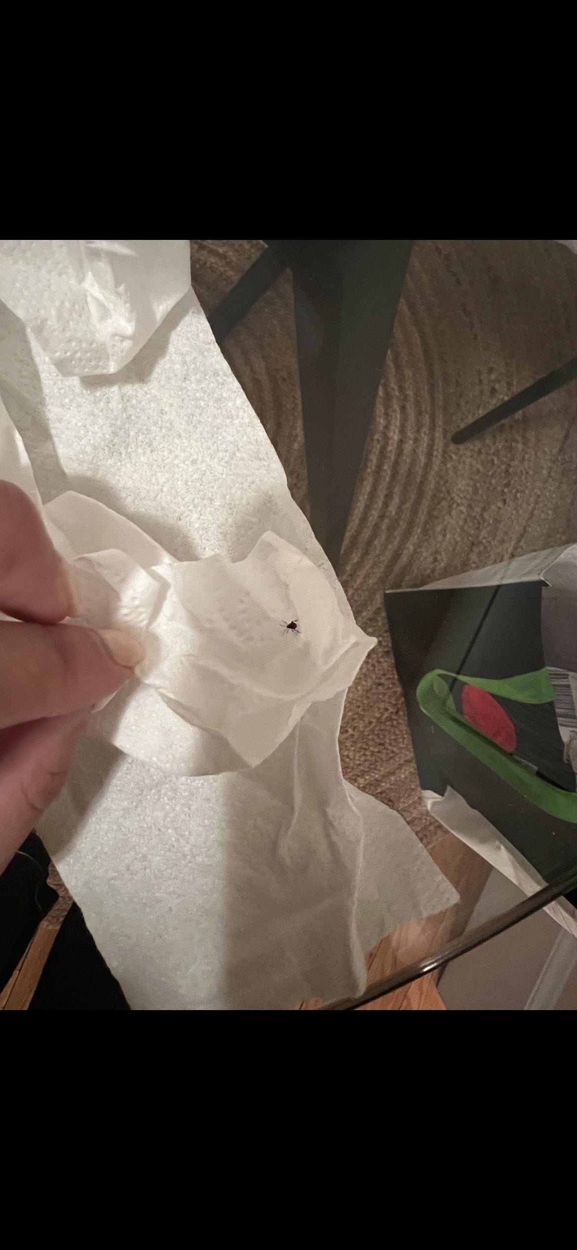 Doesn’t look like one but still scared. | Scrolller