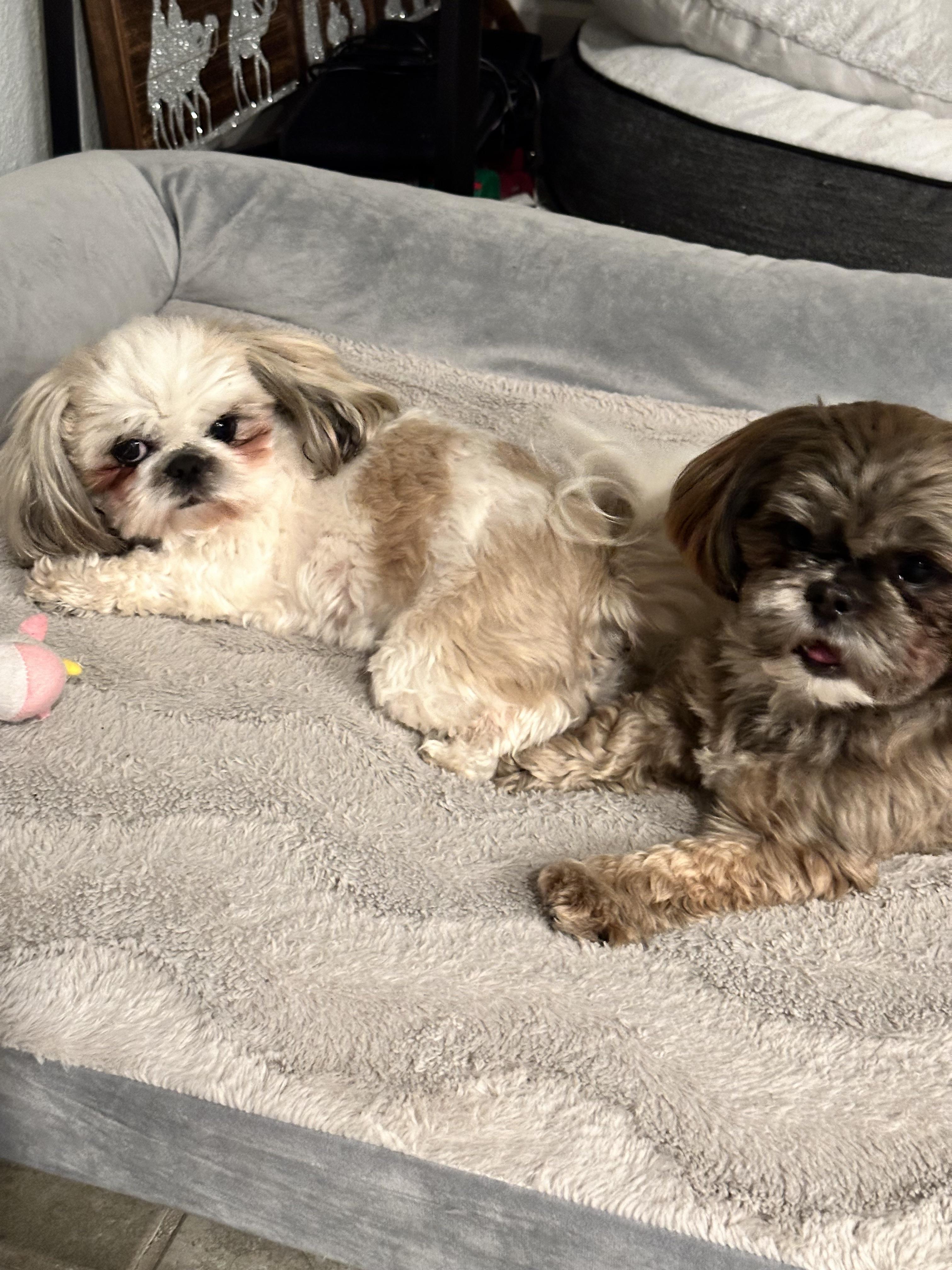 Sisters from another mister | Scrolller